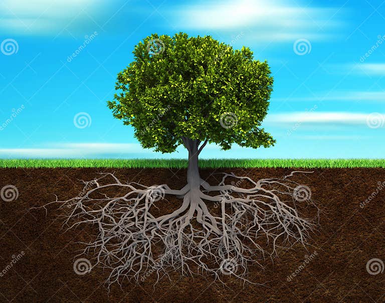 The tree and rood stock illustration. Illustration of environment ...