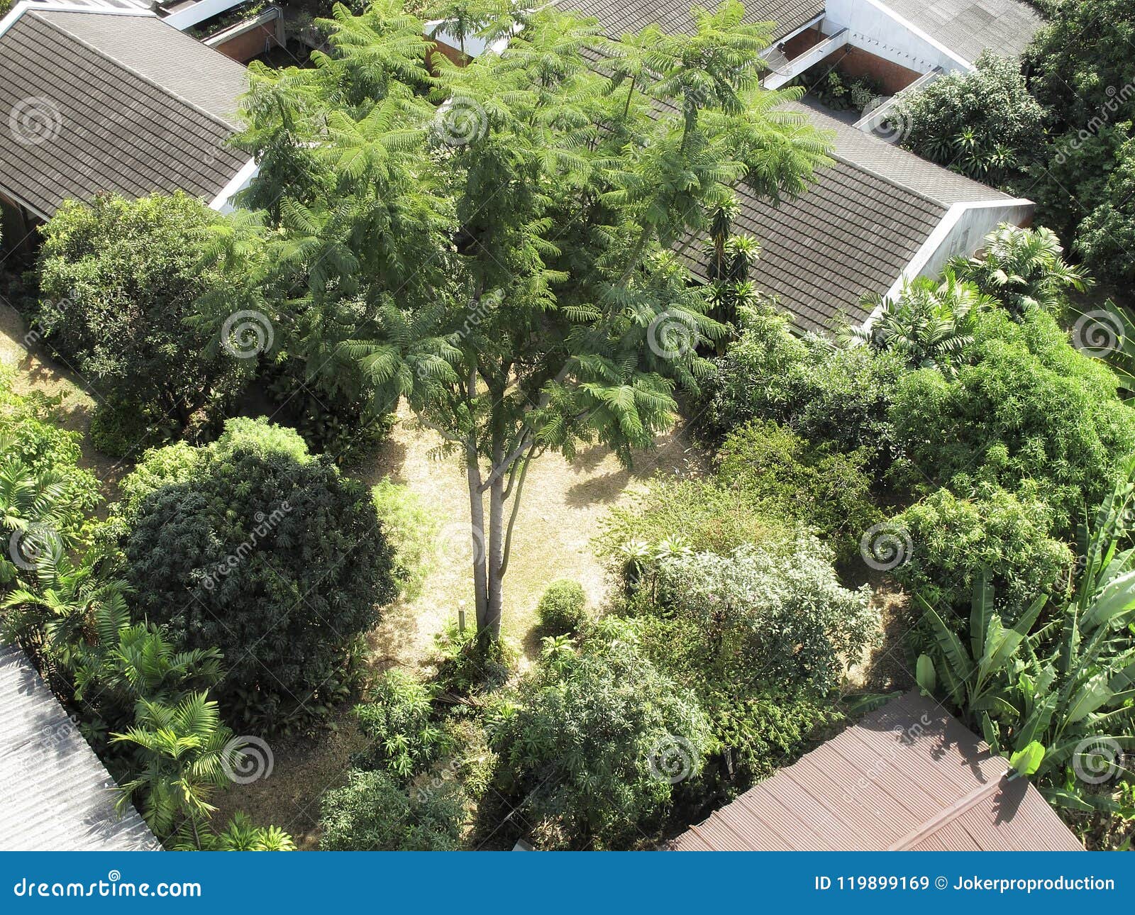 Tree and roof stock image. Image of climate, area, tile - 119899169