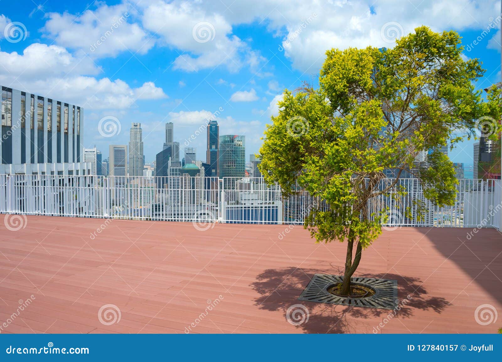Tree Roof Top Skyscraper Singapore Stock Image - Image of leisure ...