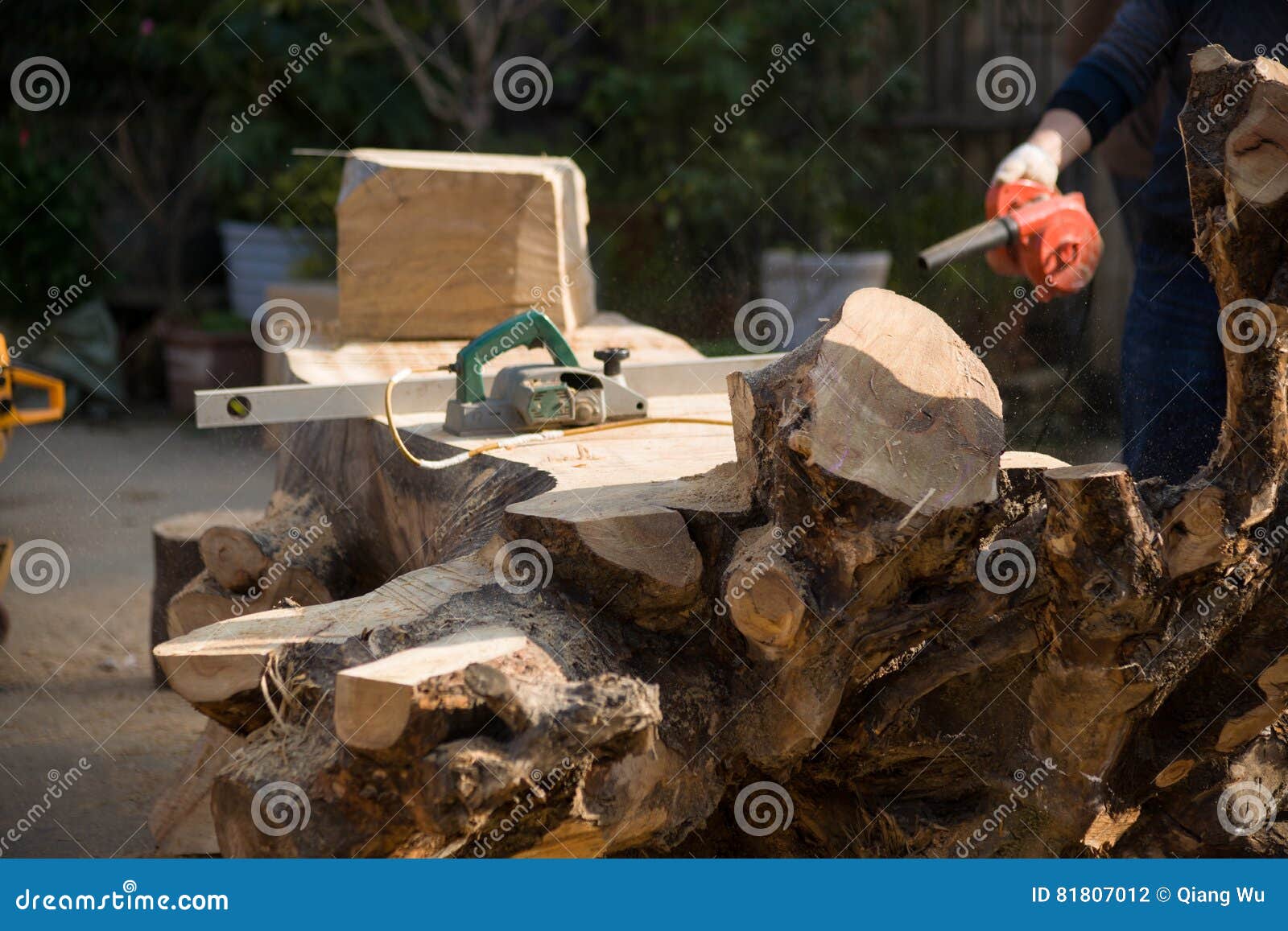 Tree-root carving stock photo. Image of banyan, buddhism - 81807012