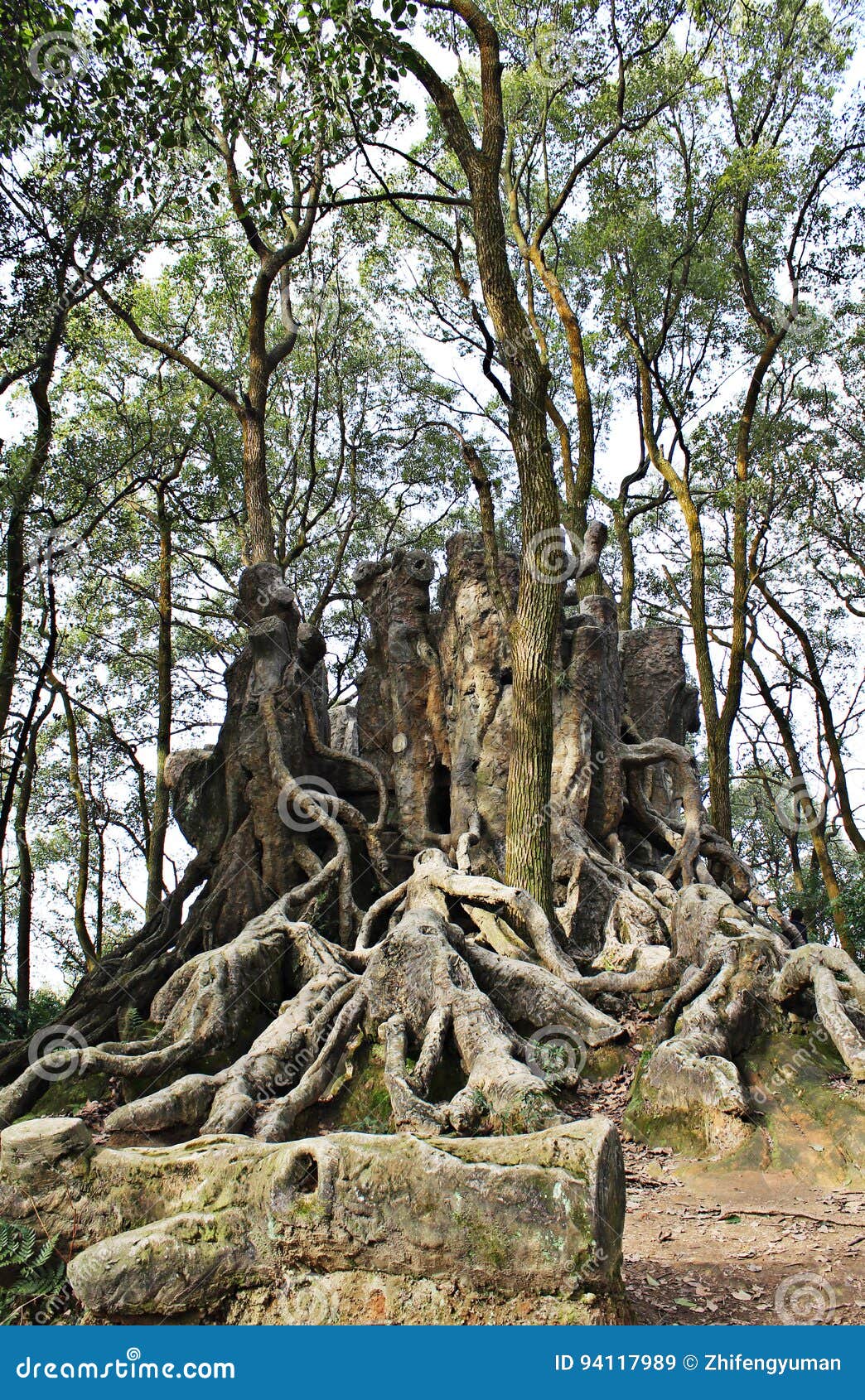 Tree Root Carving Arts And Crafts Editorial Photo | CartoonDealer.com ...