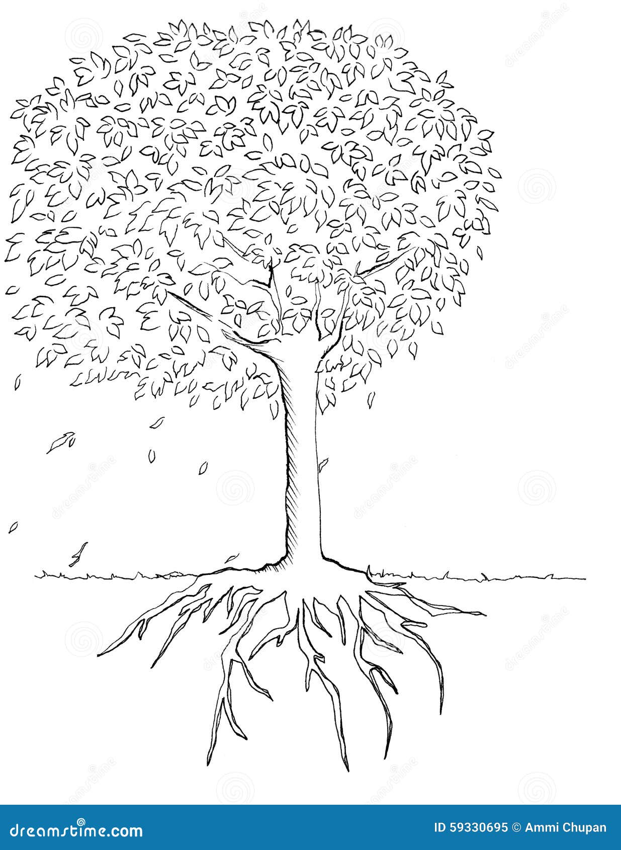 Tree and Root Illustration Hand Drawn Stock Illustration - Illustration ...
