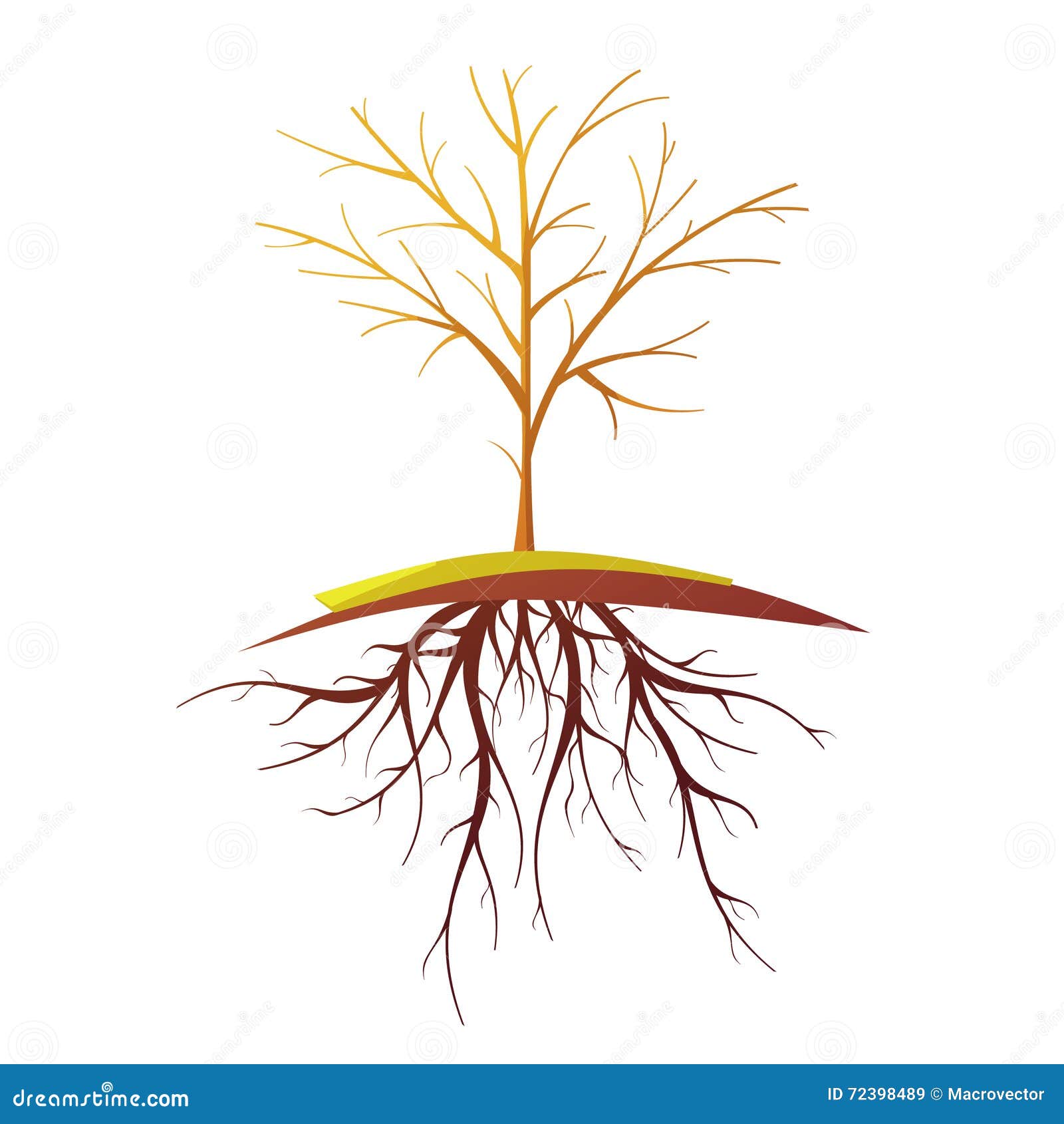 Tree With Root Retro Cartoon Illustration | CartoonDealer.com #72398489