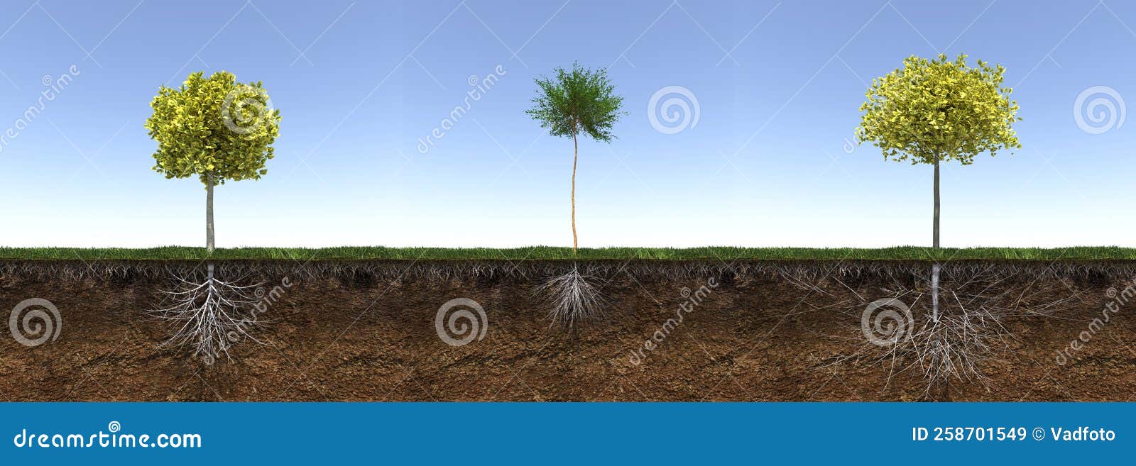 Tree Root System, 3d Render Stock Illustration - Illustration of sketch ...