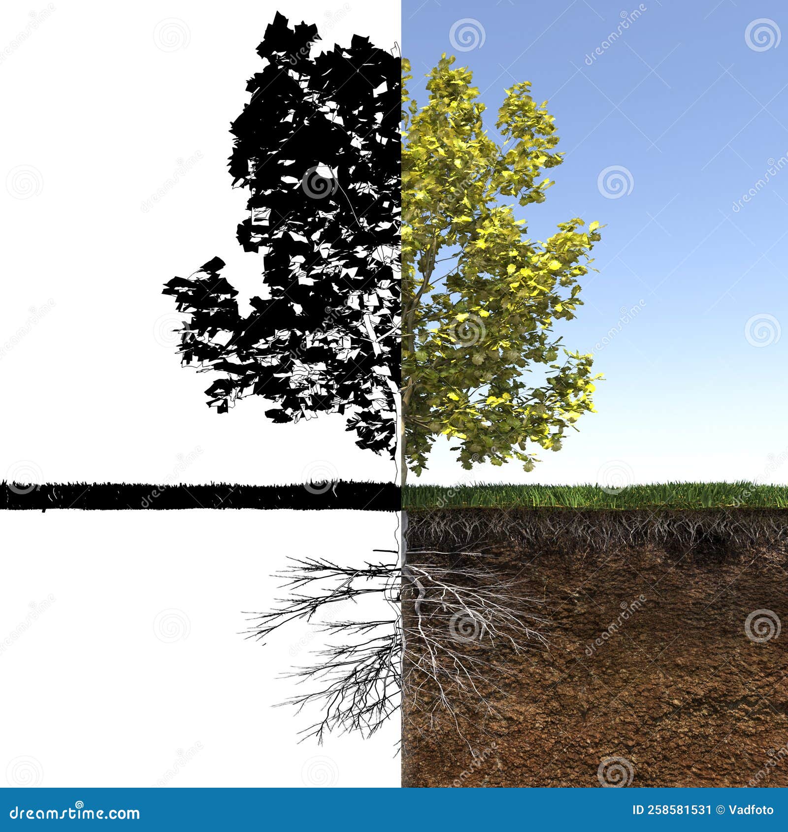 Tree with Strong and Deep Roots, 3d Render Stock Illustration ...
