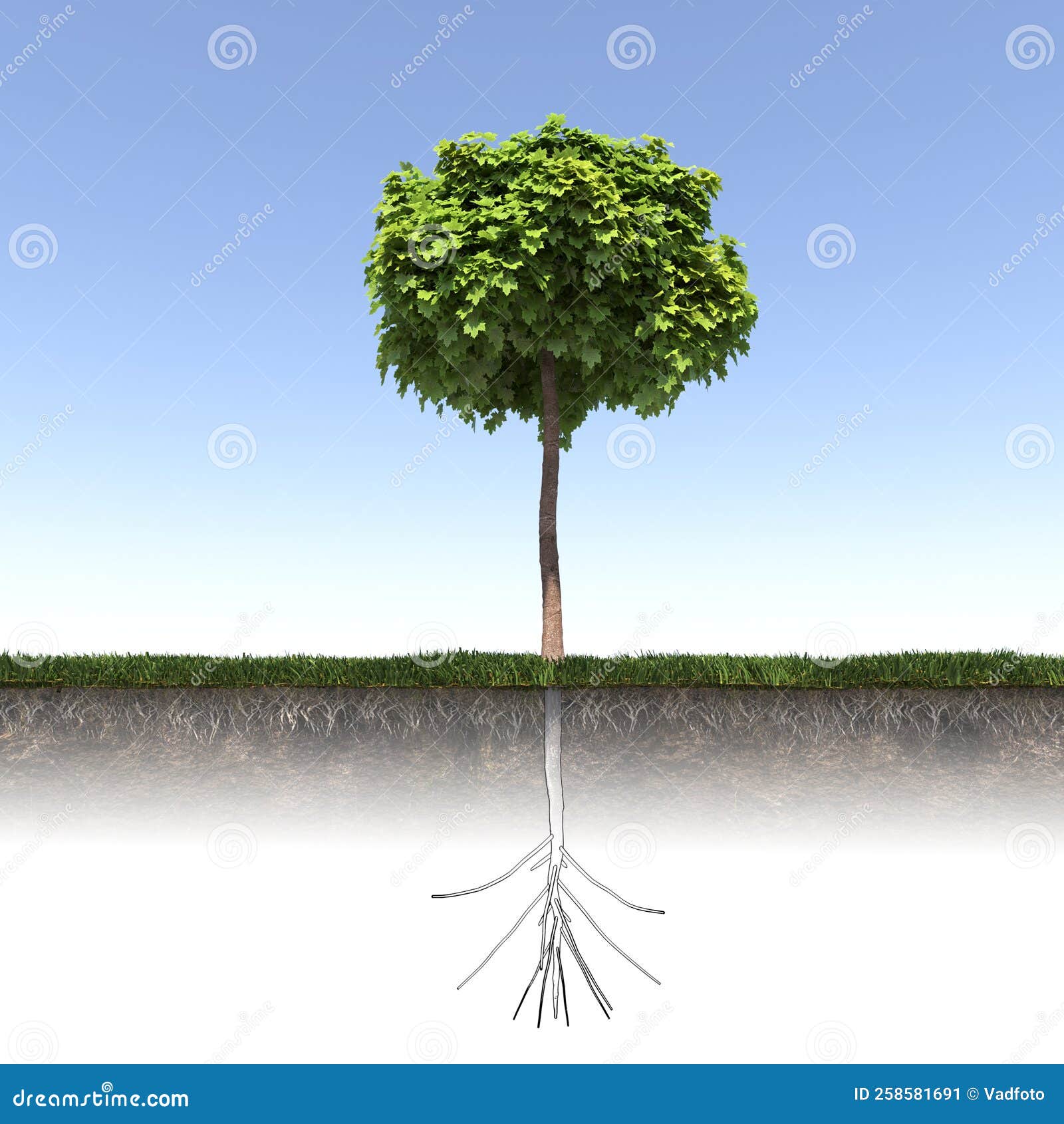 Tree with Strong and Deep Roots, 3d Render Stock Illustration ...