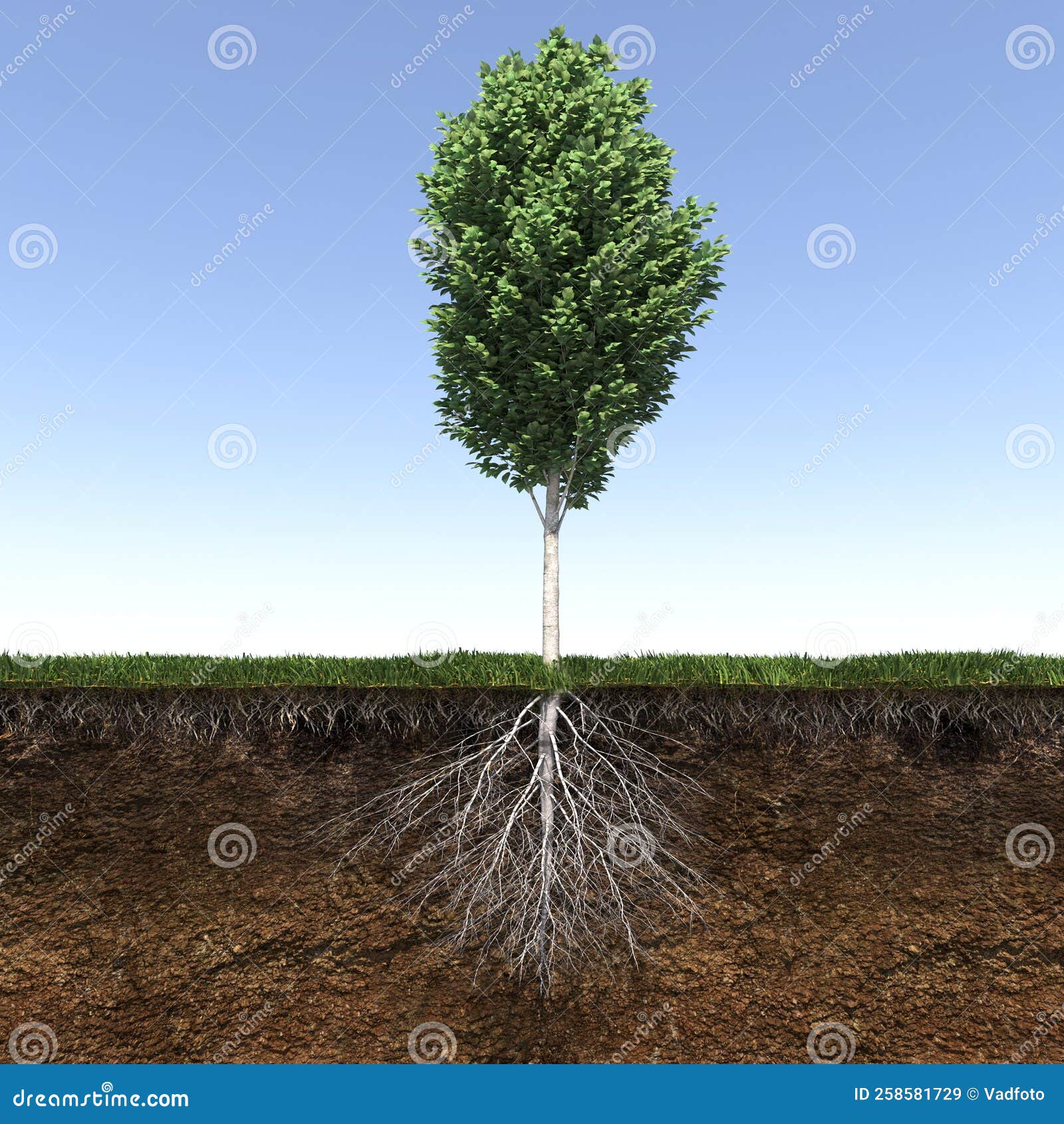 Tree with Strong and Deep Roots, 3d Render Stock Illustration ...