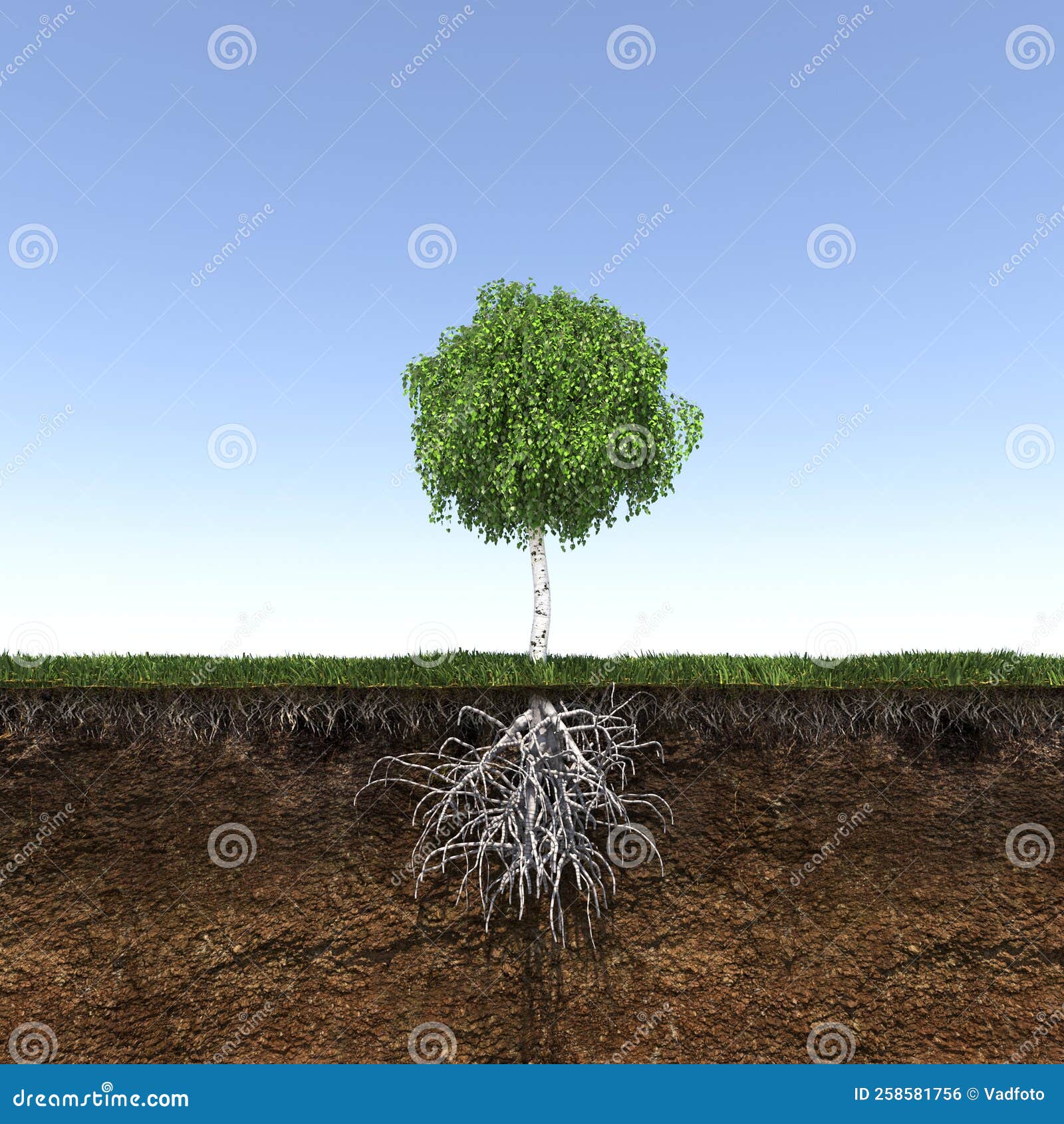 Tree with Strong and Deep Roots, 3d Render Stock Illustration ...