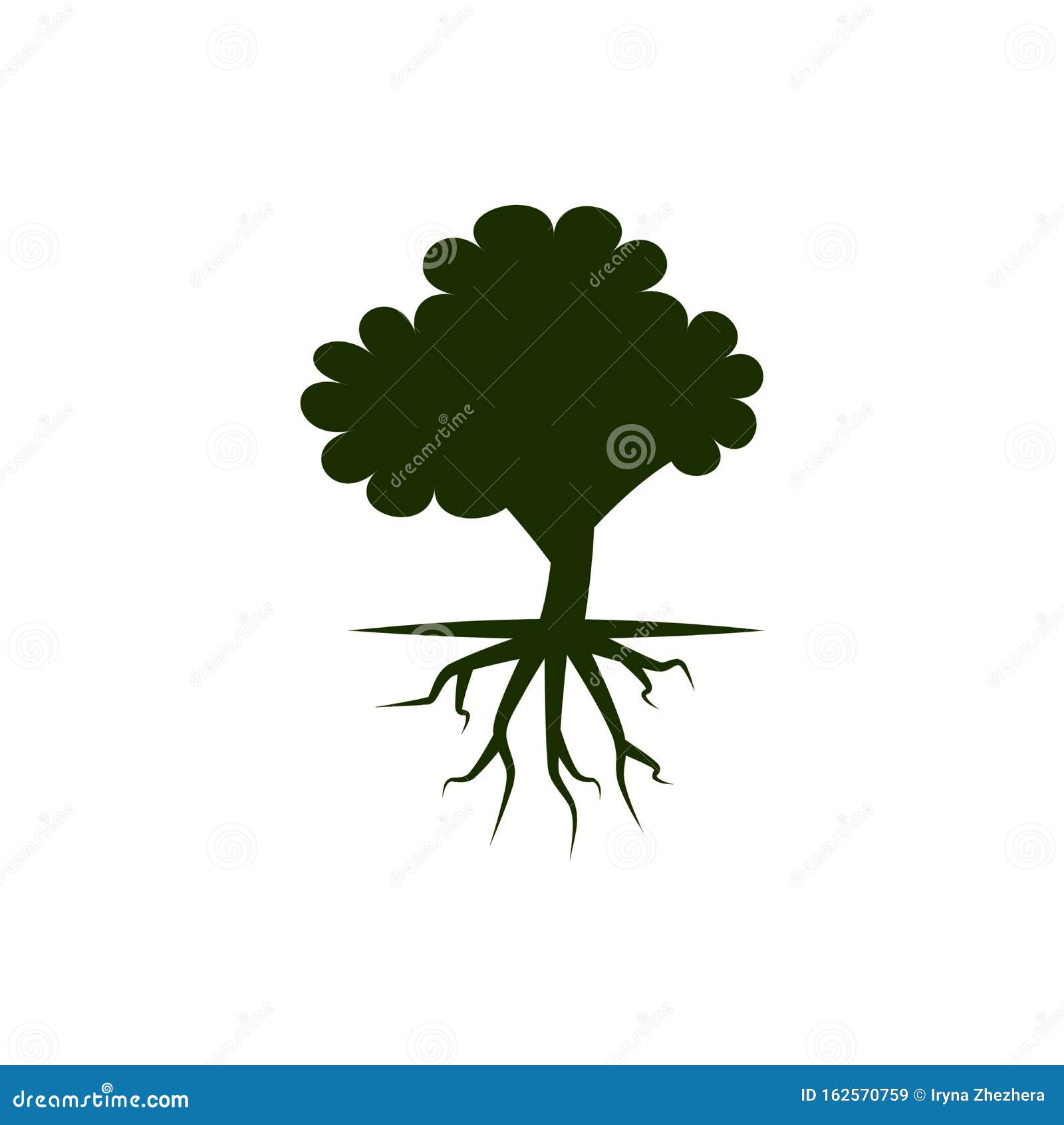 Tree with Root System. Stock Vector Illustration Isolated on White ...