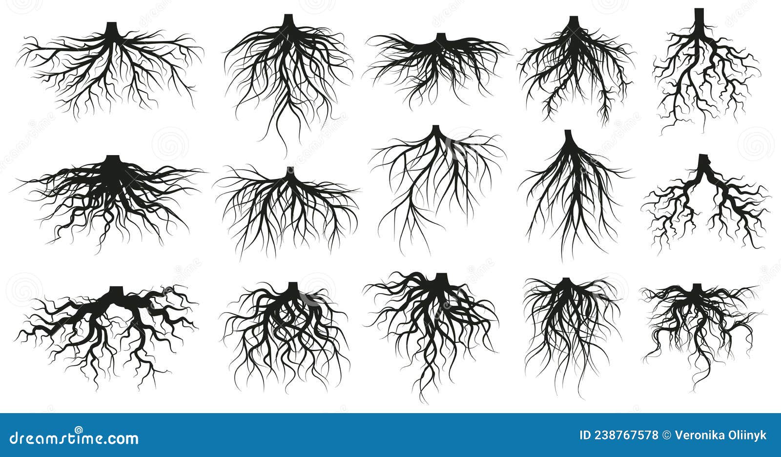 Tree Root System, Underground Growing Plants Stems. Branched Roots ...