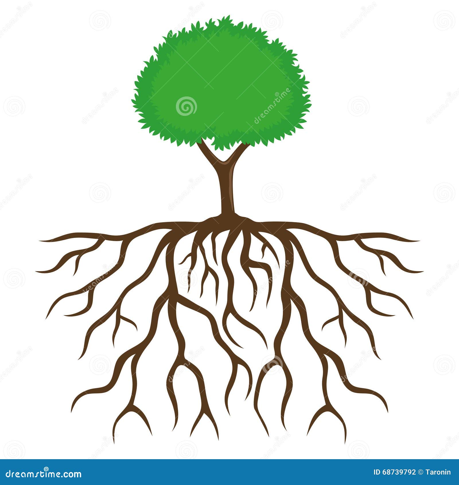 Tree with root system stock vector. Illustration of growth - 68739792