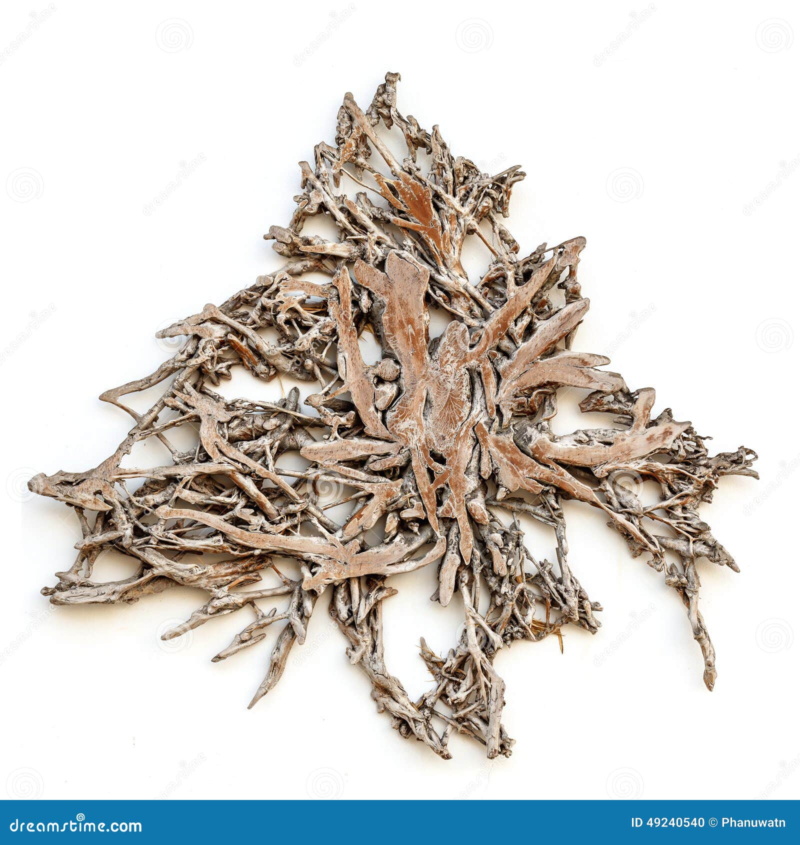 Tree root texture stock photo. Image of leaf, branch - 49240540