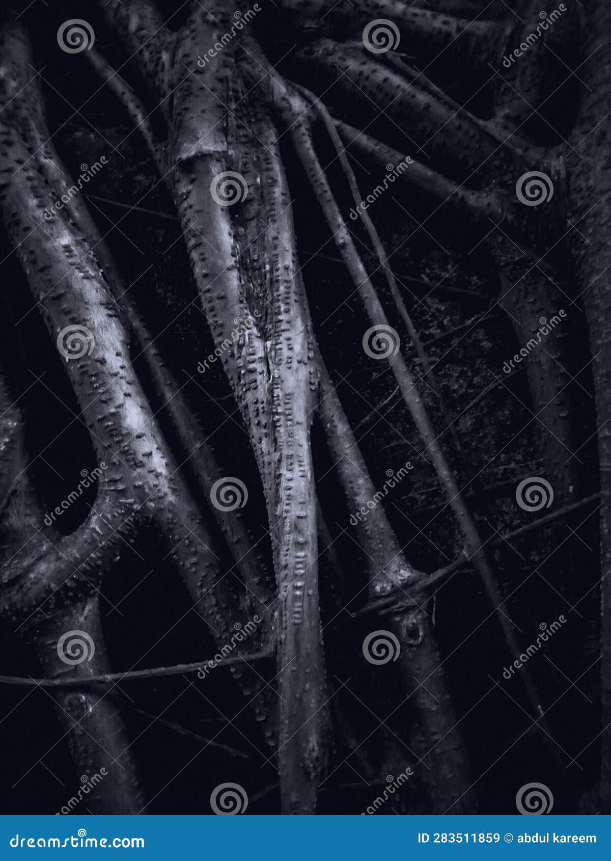 Tree Root Vines Texture Background. Dark Concept Stock Illustration ...