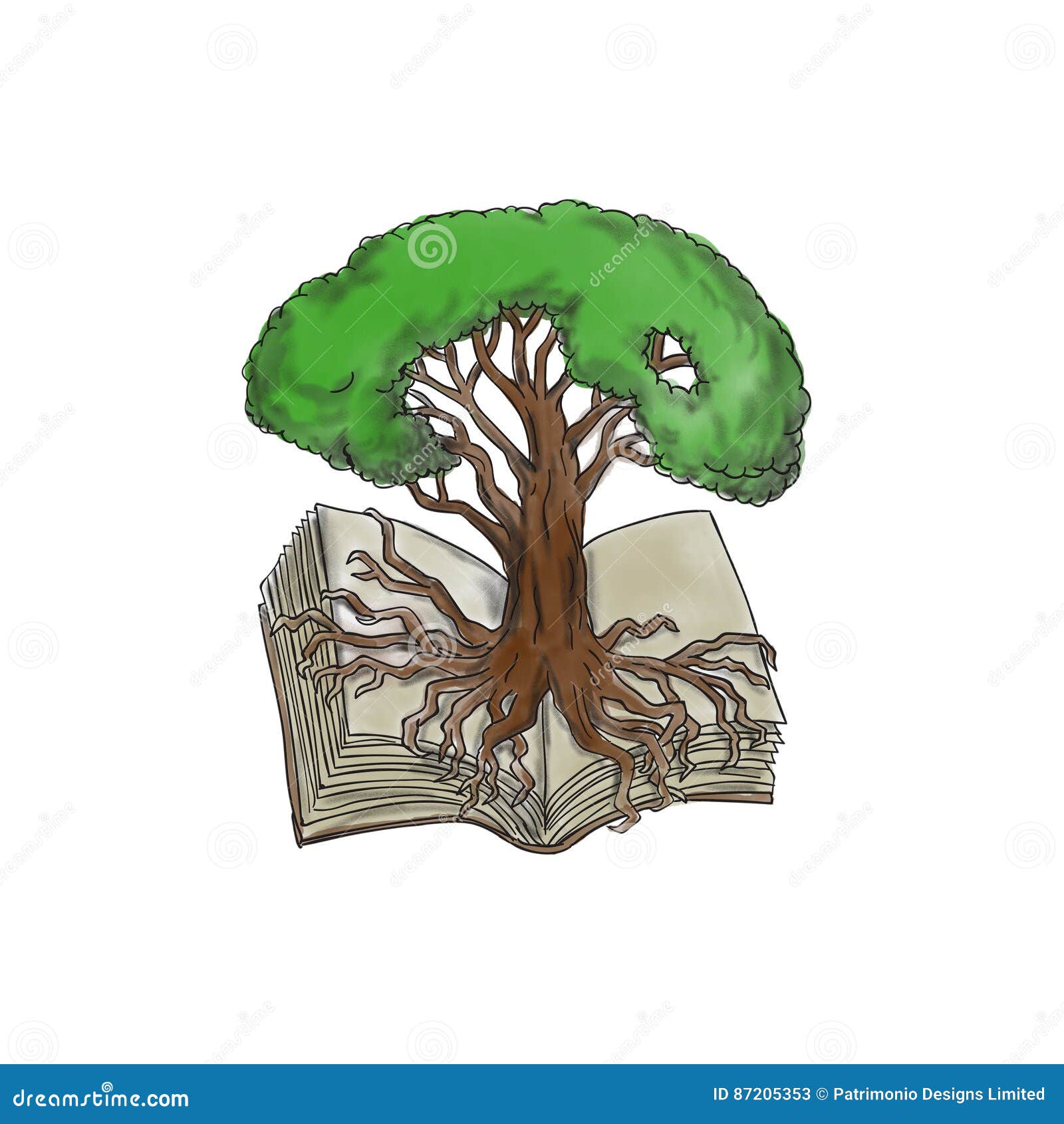 Oak Tree Rooted On Book Drawing Vector Illustration | CartoonDealer.com ...