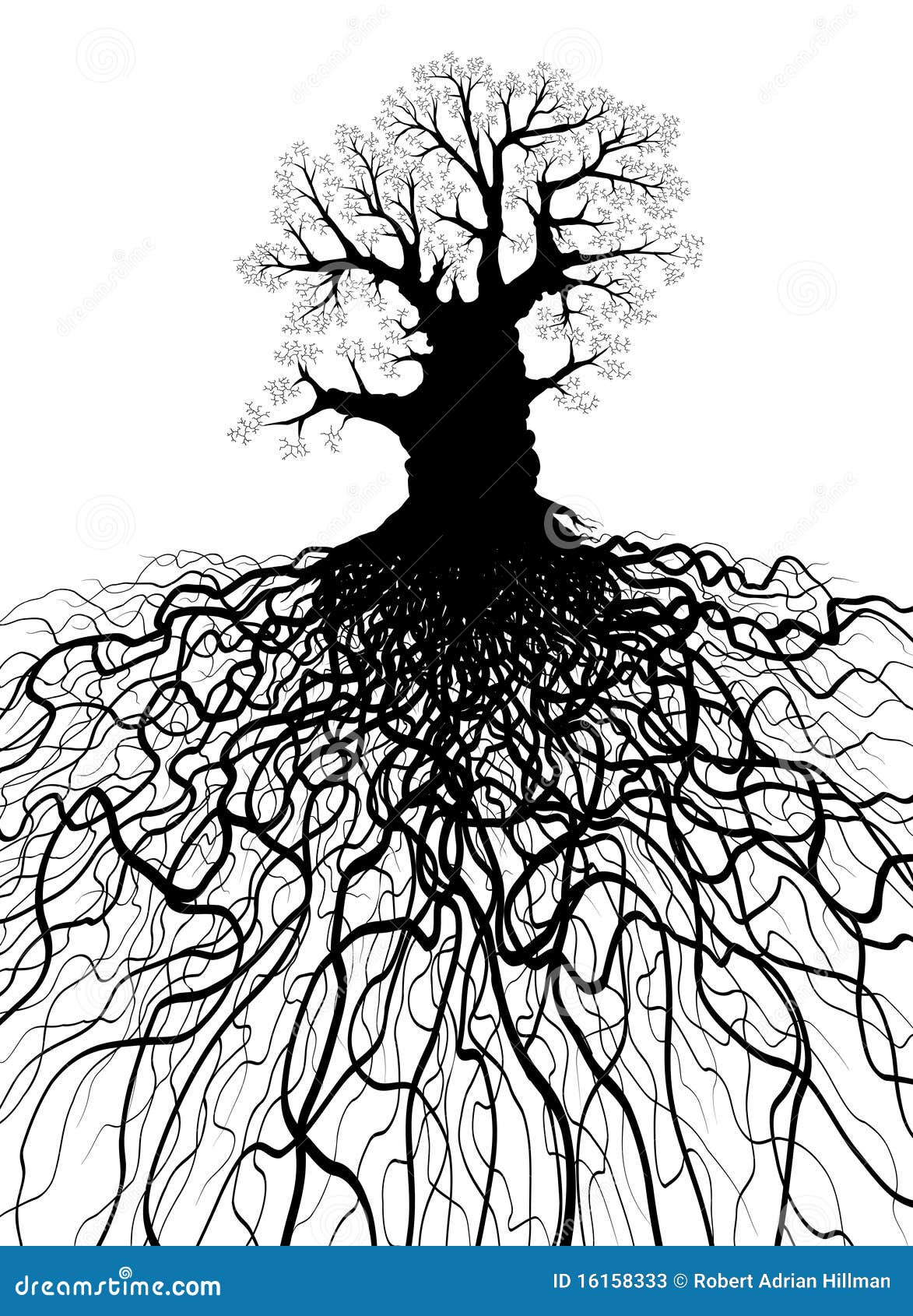 Tree with roots stock vector. Illustration of branch - 16158333