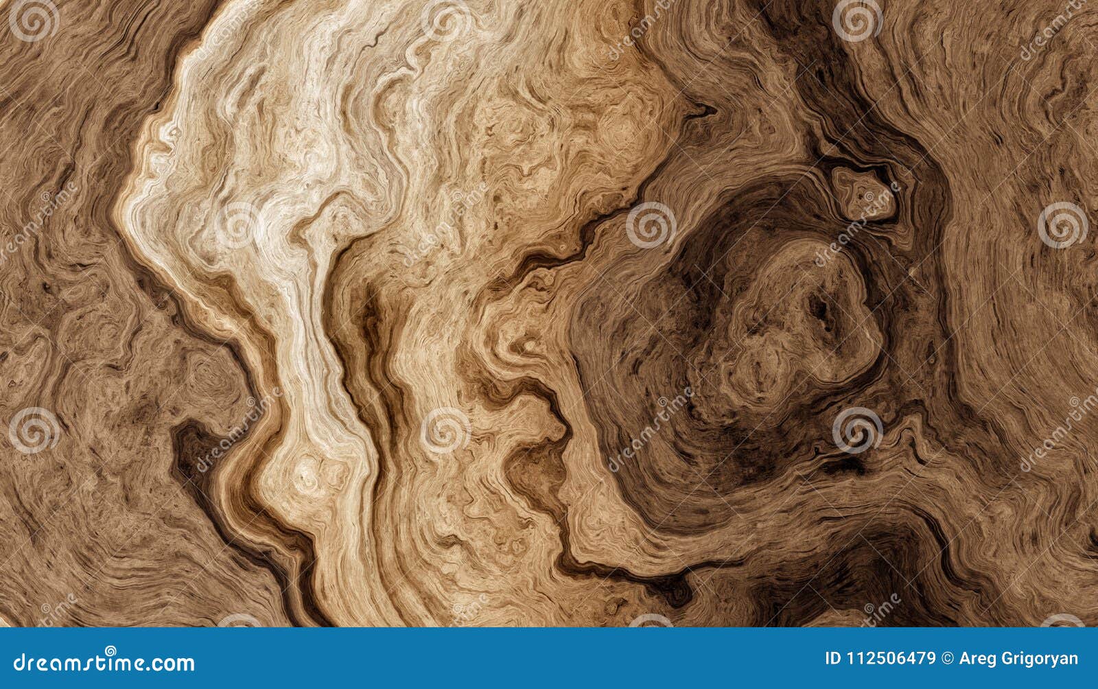 Tree roots background stock image. Image of grain, abstract - 112506479