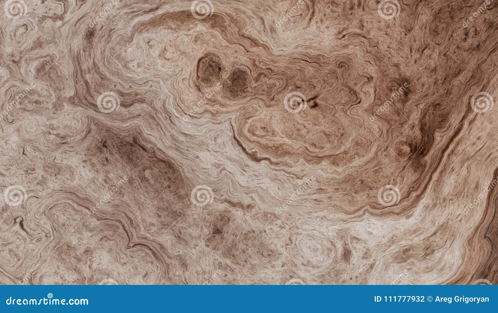 Tree Roots Background with Wavy Rings Stock Photo - Image of root ...
