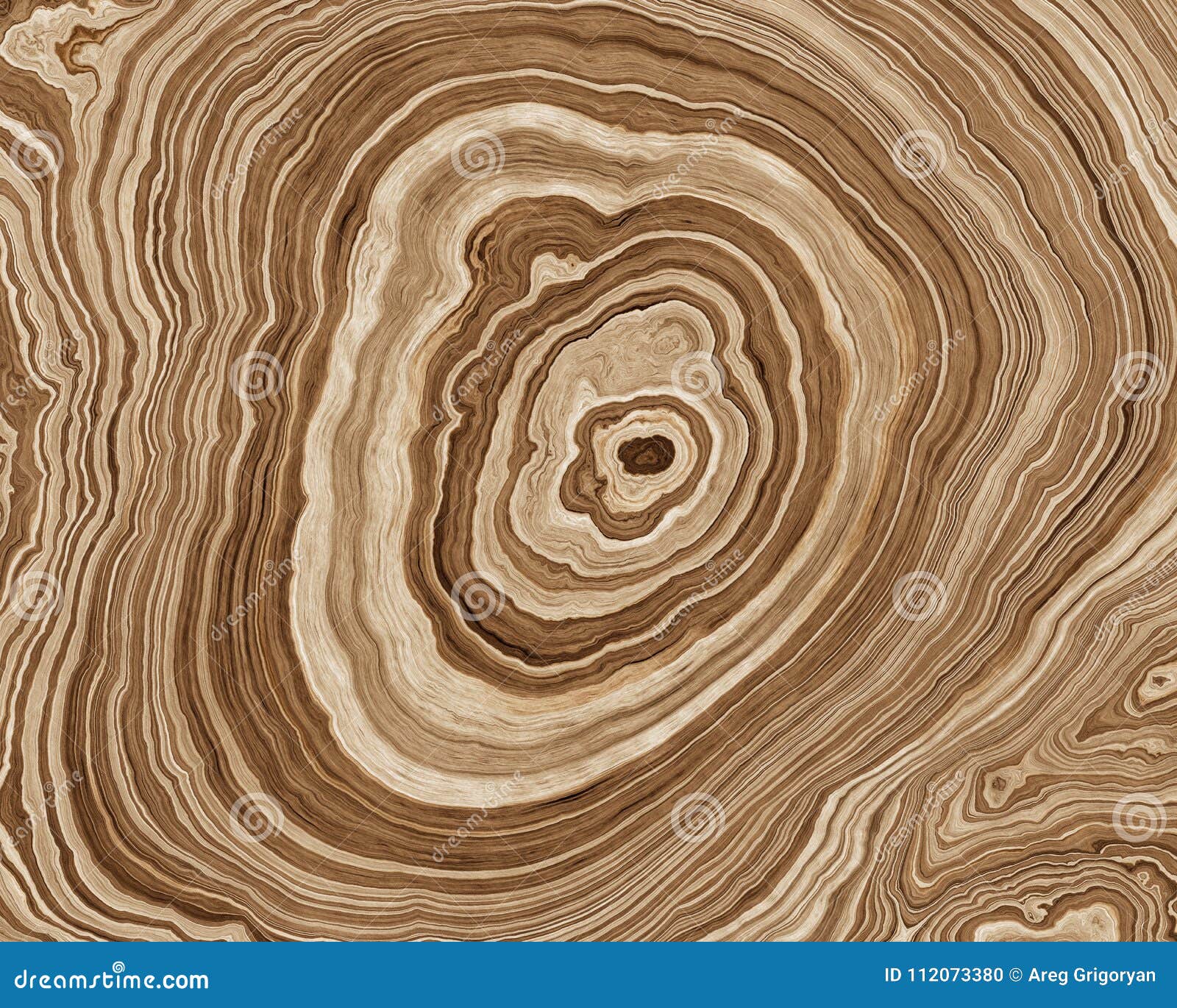 Tree Roots Colored Background Stock Illustration - Illustration of ...