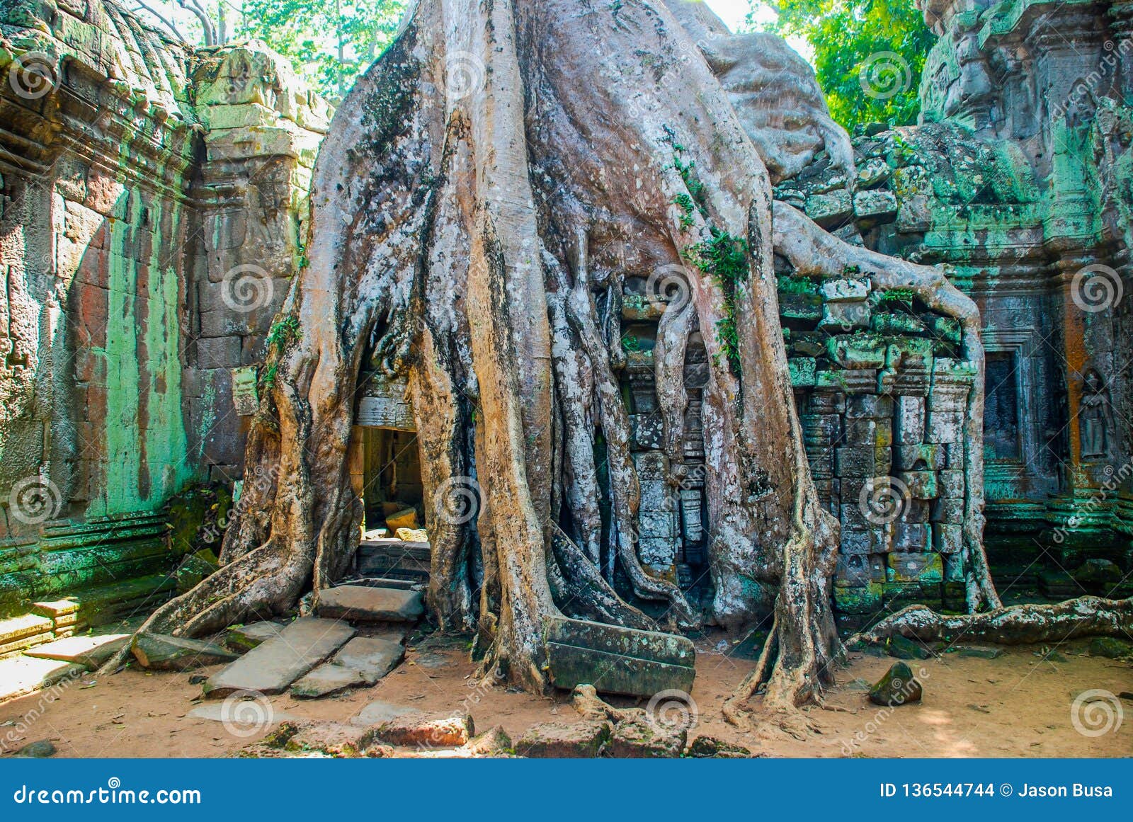 Tree Roots Consuming a Small Temple Building at Angkor Wat Stock Photo ...