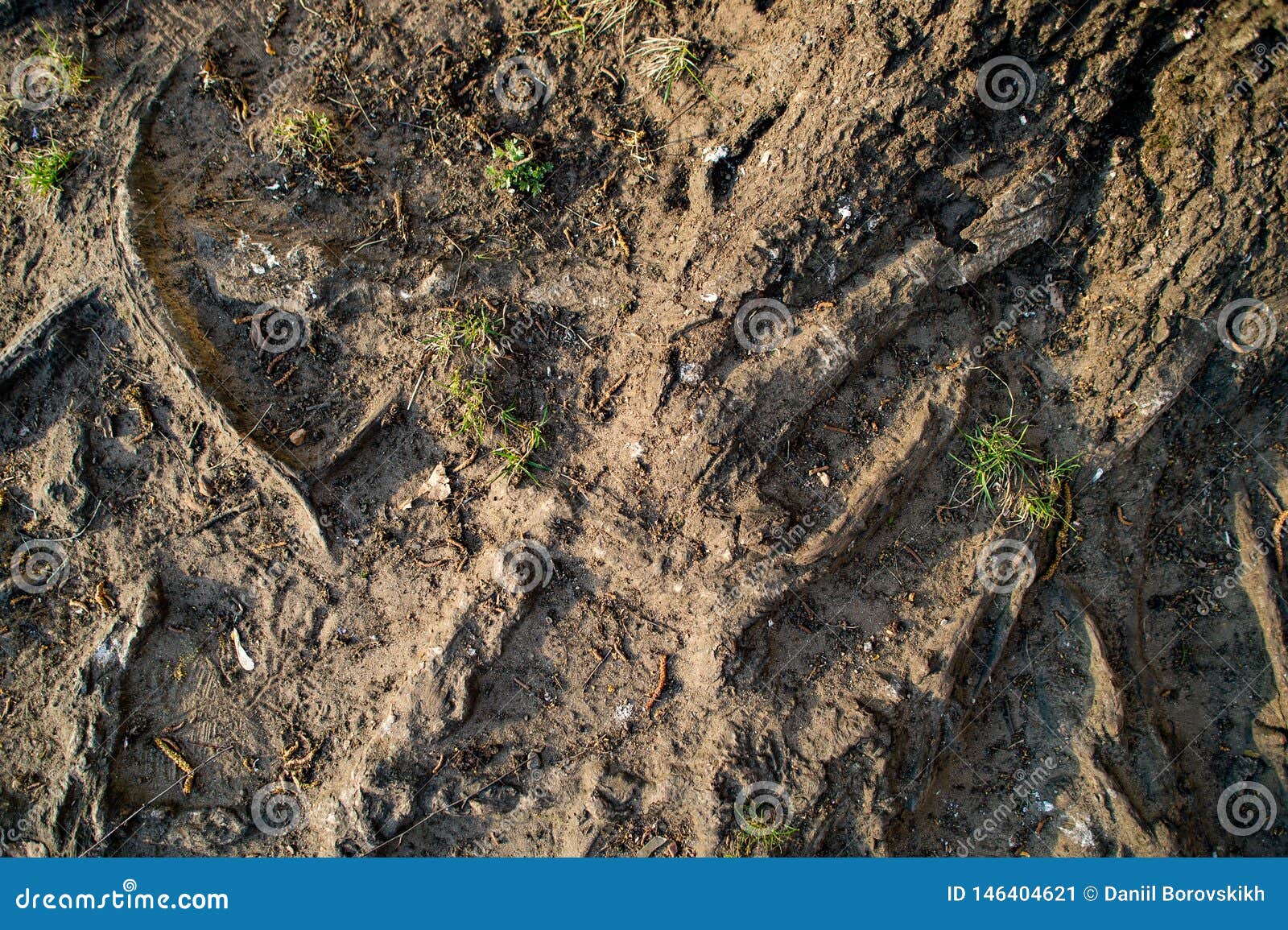 Background, Tree Roots on Earth Stock Image - Image of embrace, human ...