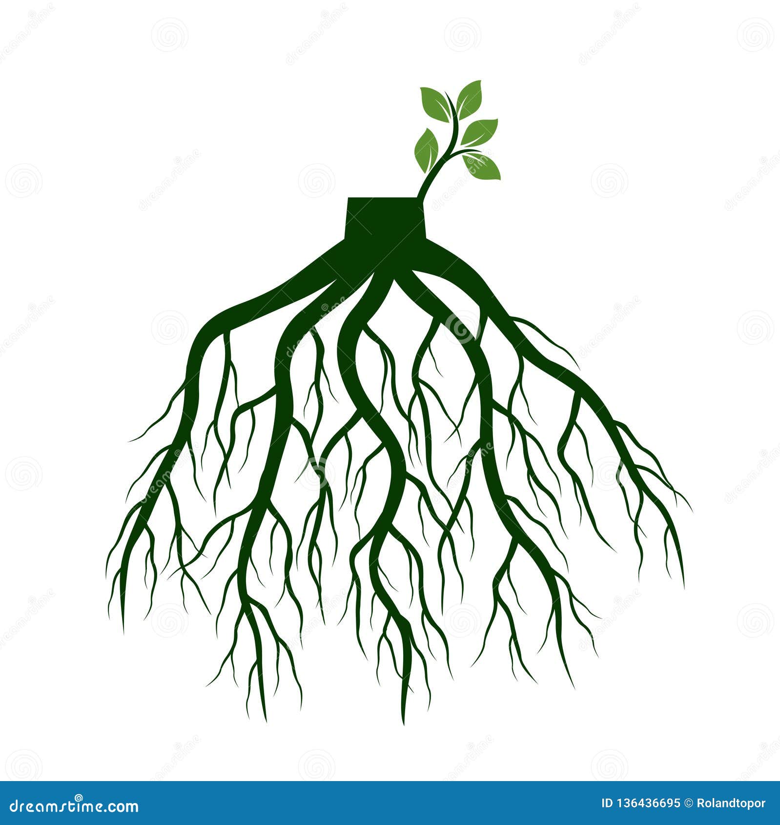 Tree Roots And Germinate Limb. Roots Of Plants. Vector Illustration ...