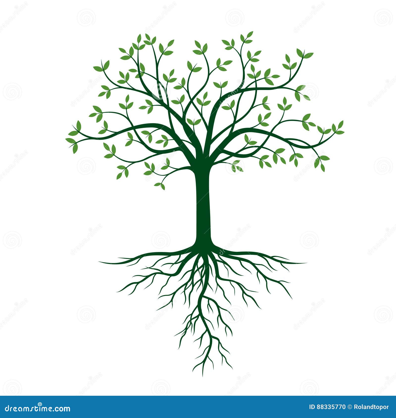 Tree with Roots and Green Leafs. Stock Vector - Illustration of alone ...