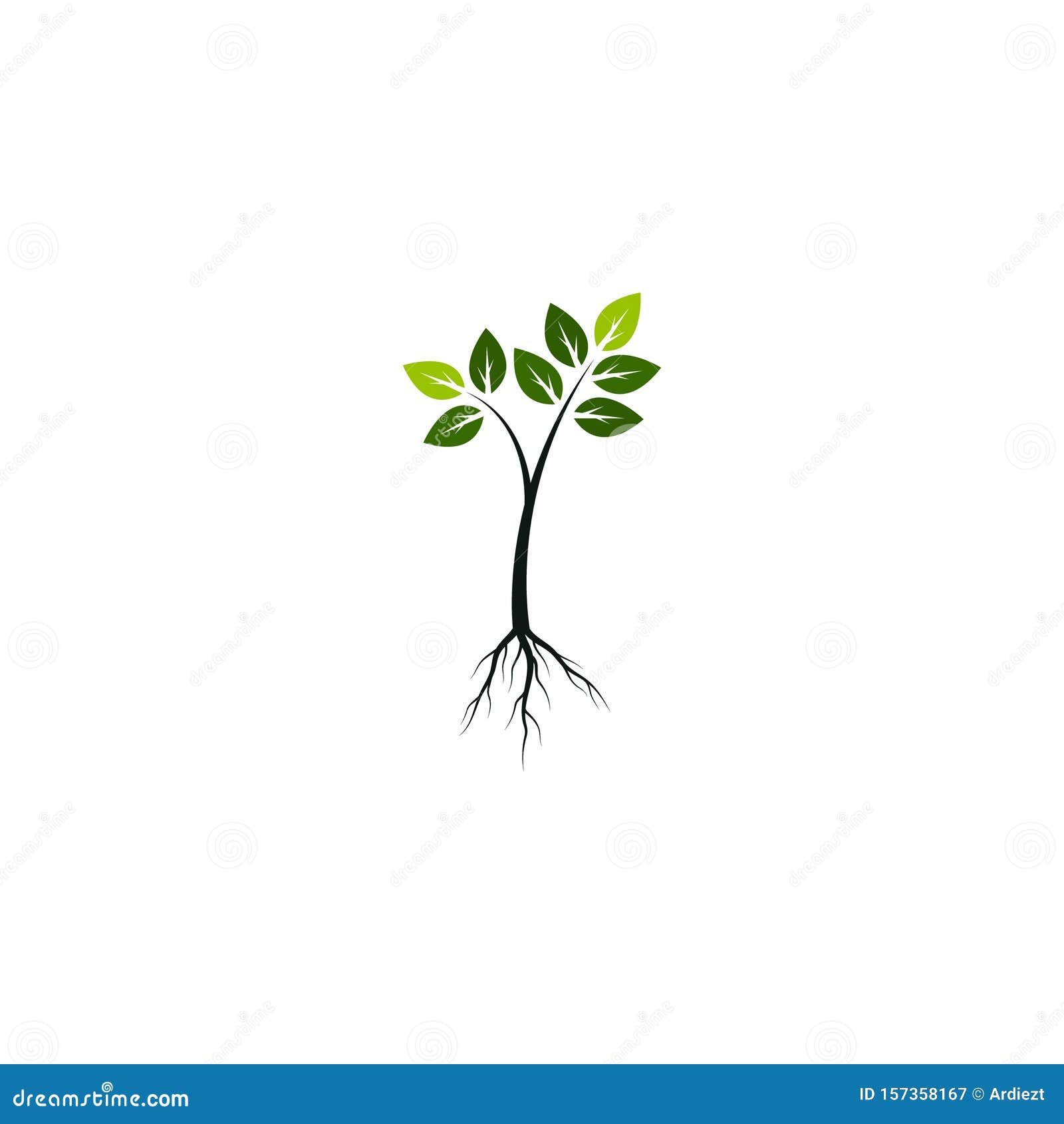 Tree with the Roots, Green Spring Tree Vector Illustration Stock Vector ... Tree with the Roots, Green Spring Tree Vector Illustration Stock Vector ...