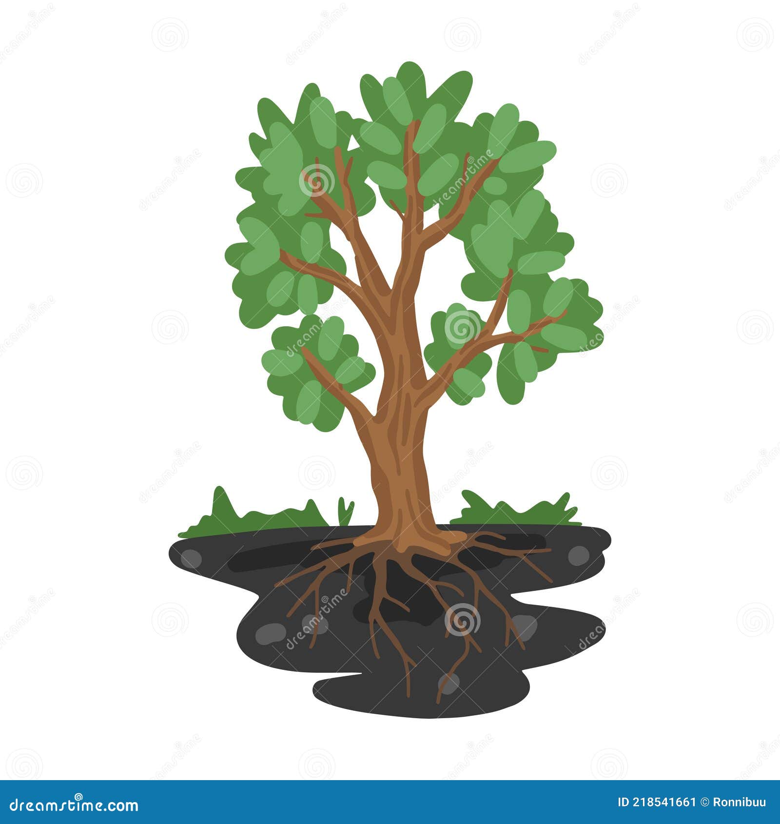 Tree With Roots In The Ground. Sectional Land. Tree Growth Illustration ...