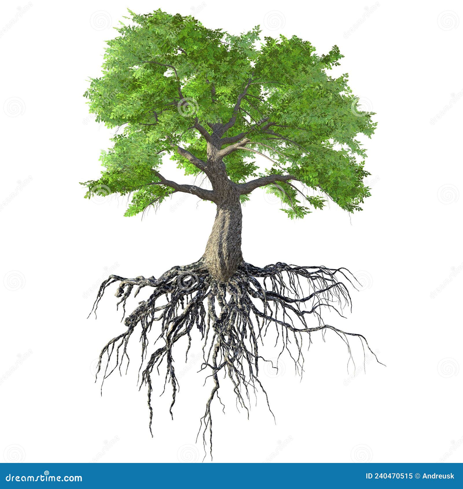 Tree with Roots Isolated 3D Illustration Stock Image - Illustration of ...