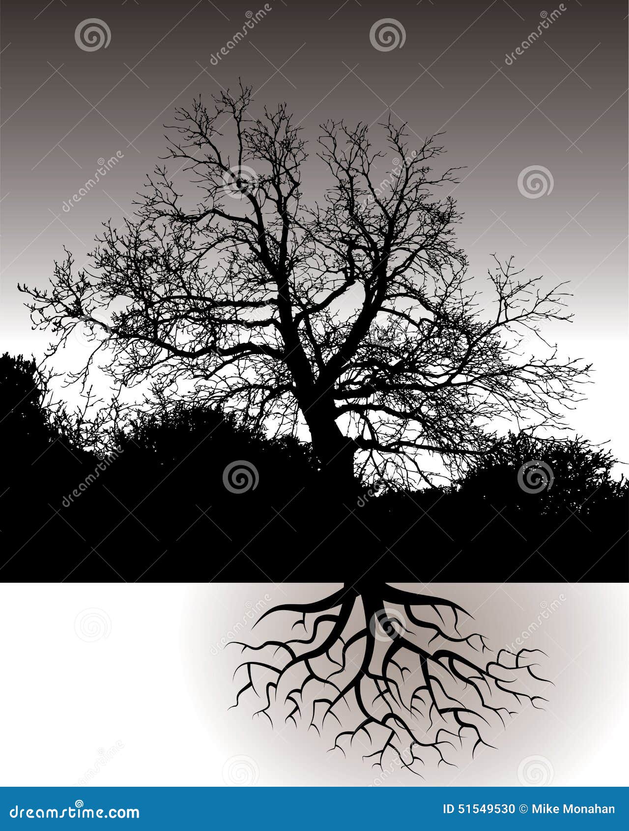 A Tree with Roots Landscape Stock Vector - Illustration of aged, print ...