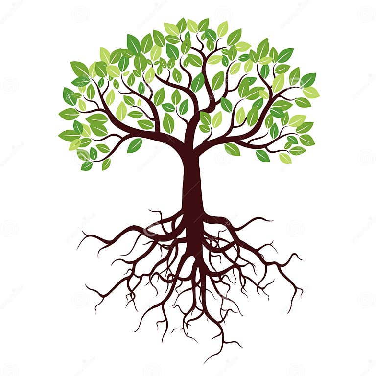Tree with Roots and Leafs. stock illustration. Illustration of ...