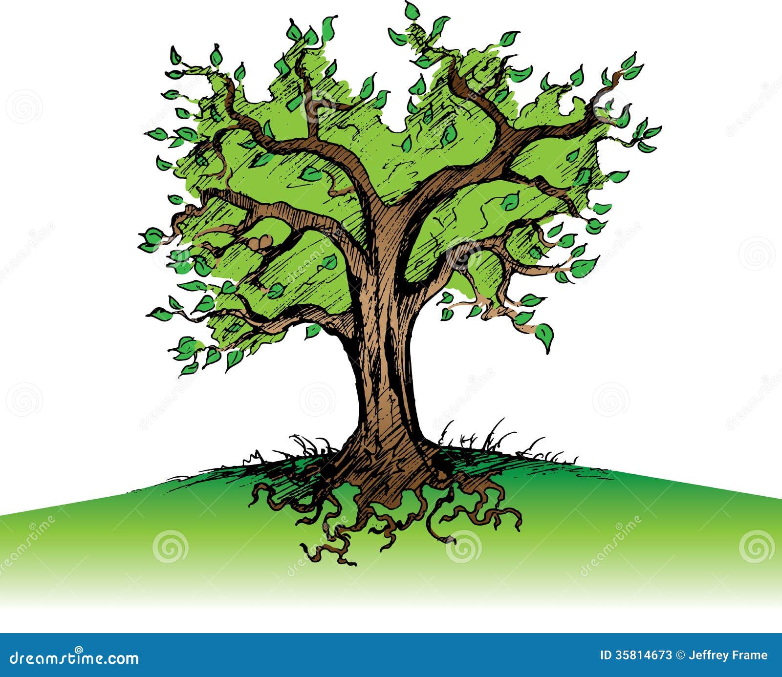 Tree Roots Underground Drawing