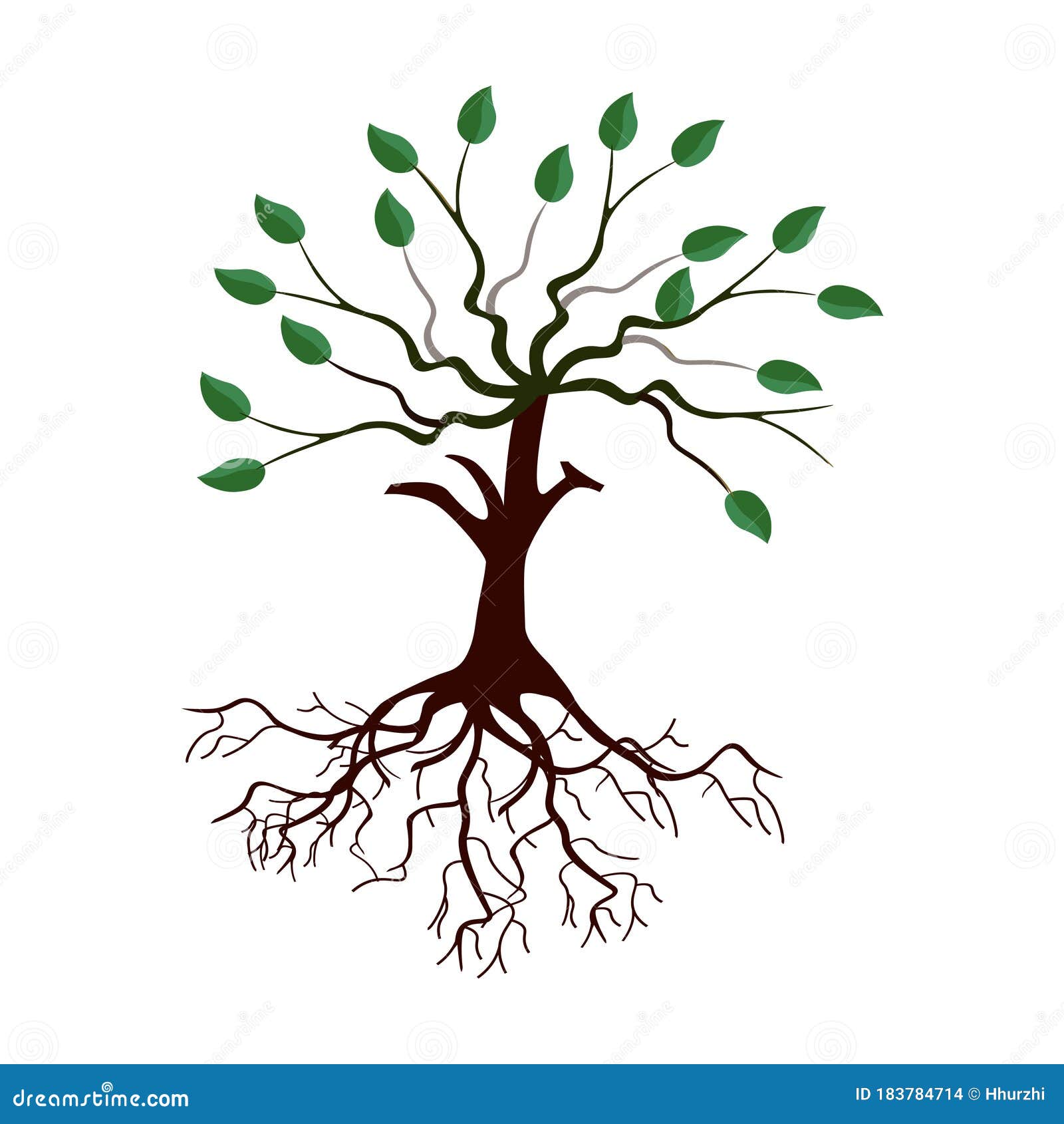 Tree with Roots and Leaves Cartoon Image Stock Vector - Illustration of ...