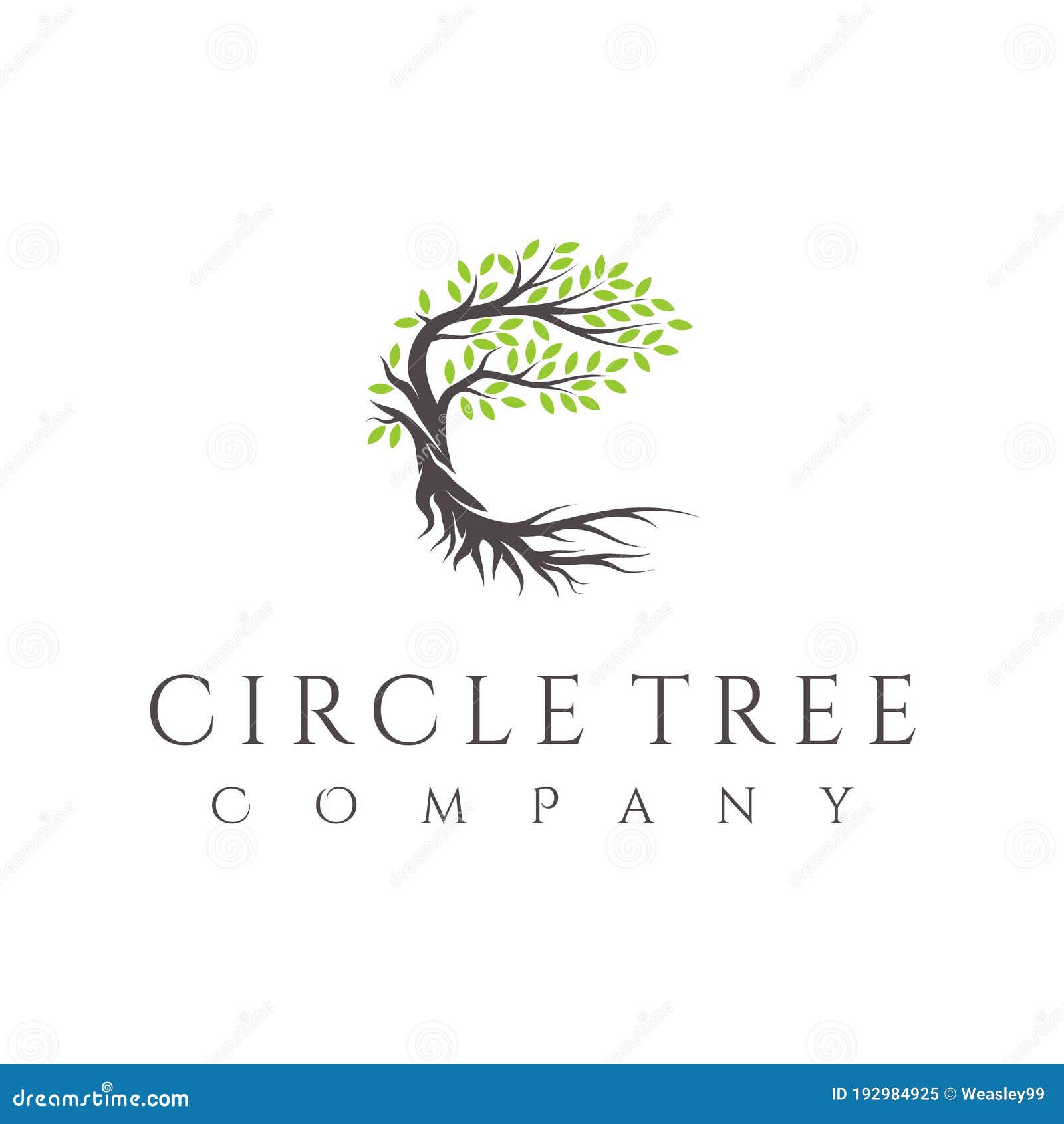 Tree And Roots Logo Design Vector Isolated, Abstract Tree Logo Design ...