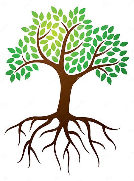 Tree Roots Logo stock vector. Illustration of grow, natrual - 34346189
