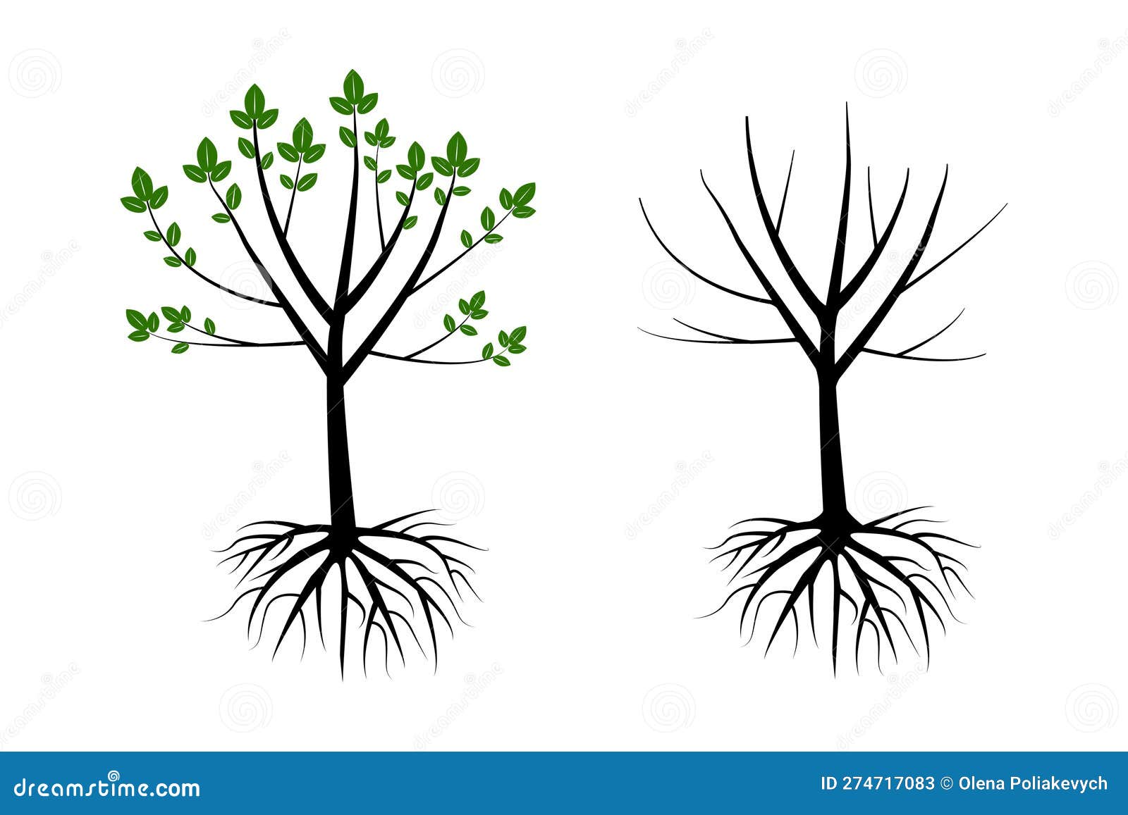 Tree with Roots. Oak Tree. Vector Illustration Stock Vector ...
