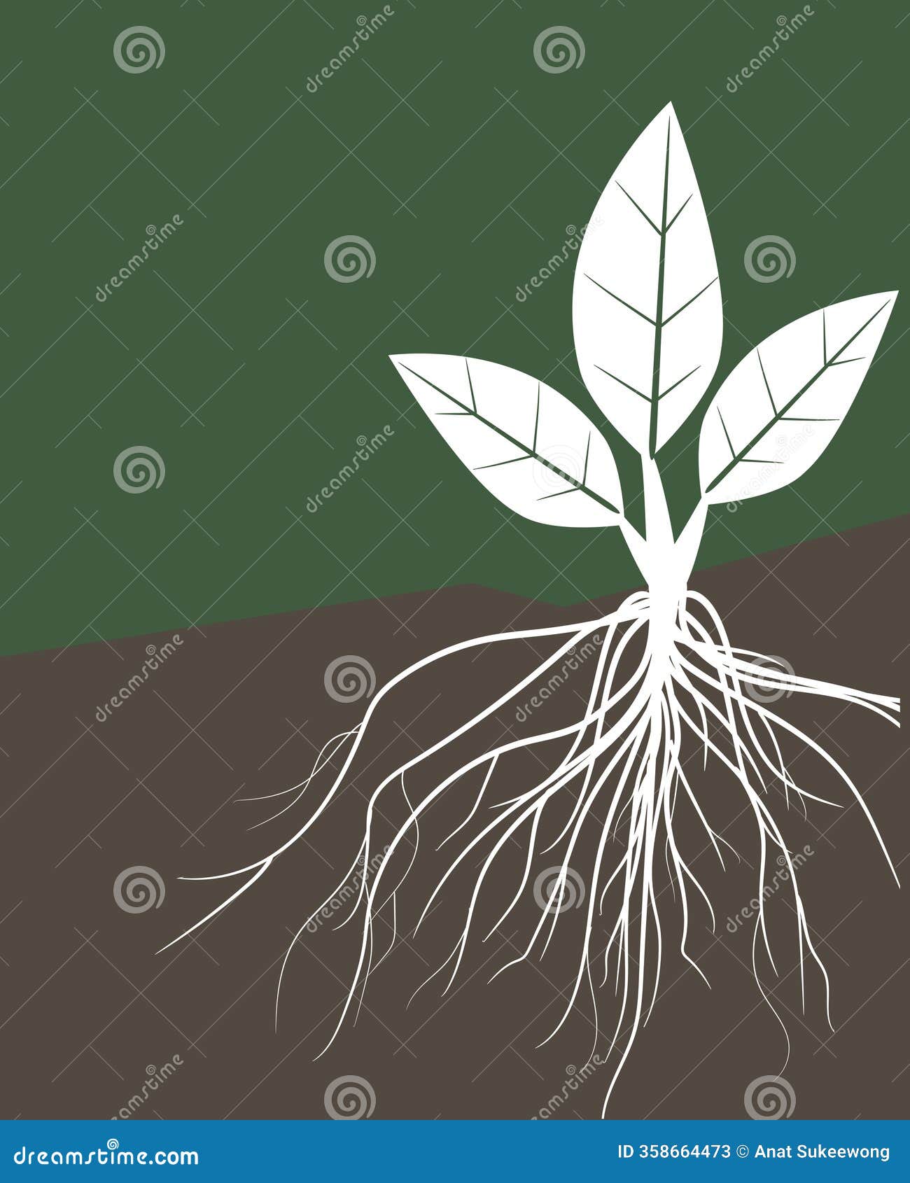 Tree with Roots Plant Roots Soil Color Green and Brown Stock ...