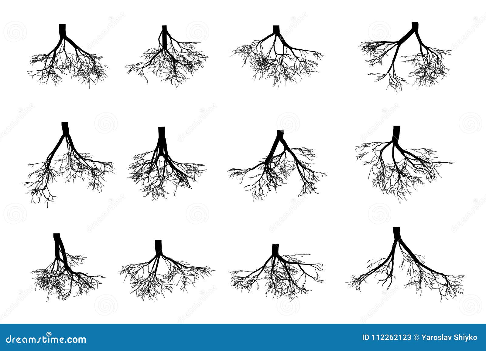 Tree Roots Underground Diagram