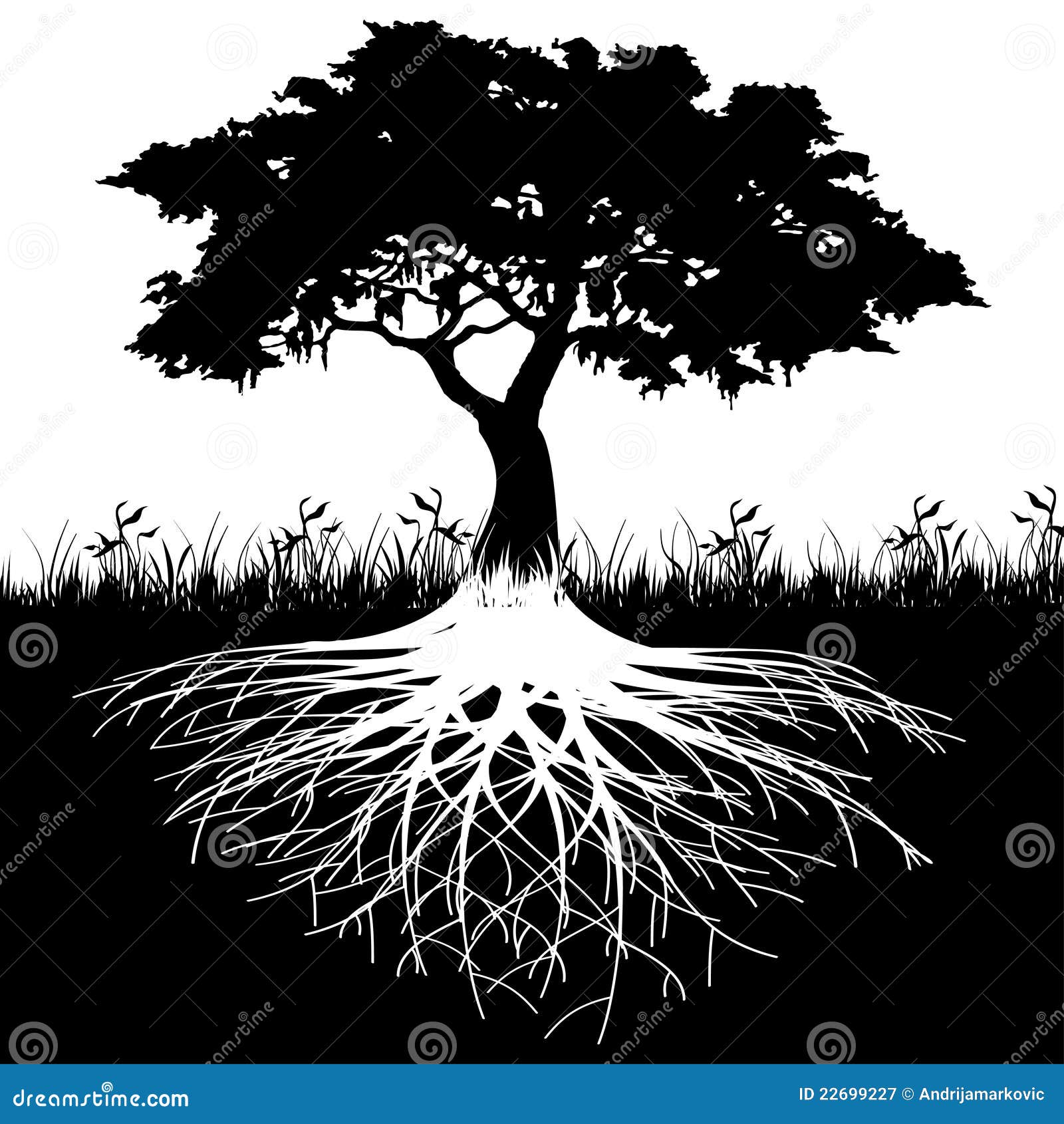 Tree With The Roots Vector Illustrations | CartoonDealer.com #149857328 Tree With The Roots Vector Illustrations | CartoonDealer.com #149857328