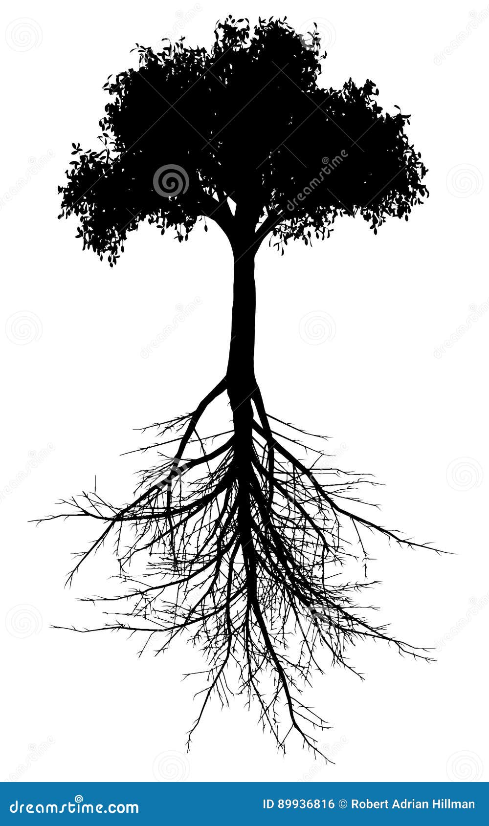 Black Tree Silhouette With Roots