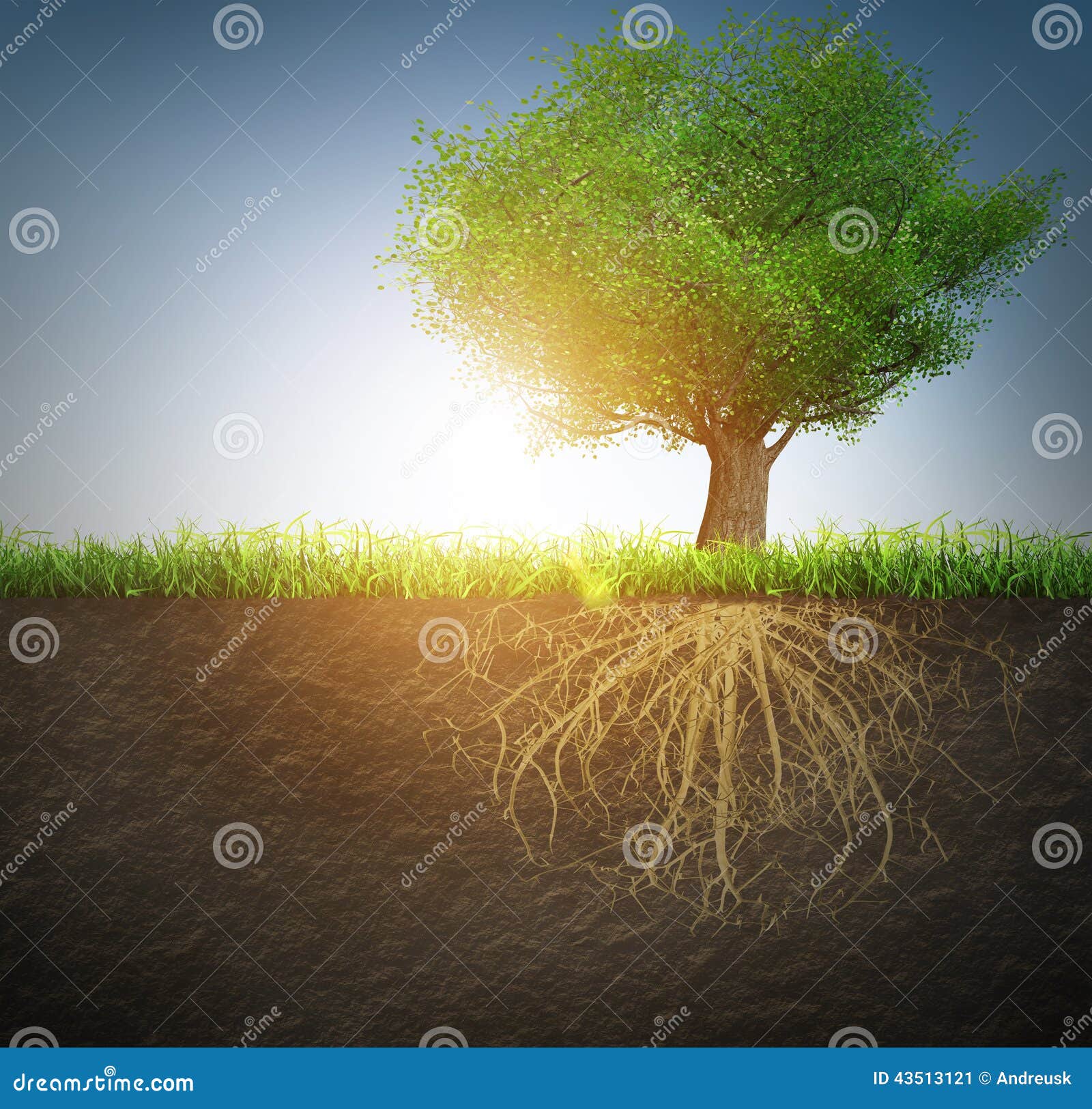 Soil With Tree And Roots Stock Photo | CartoonDealer.com #130218090