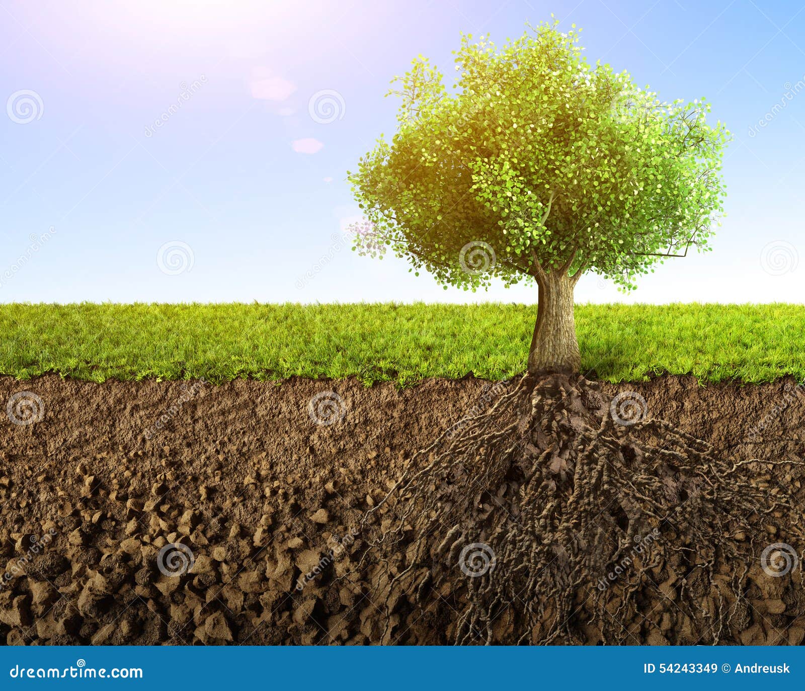 Tree with roots stock illustration. Illustration of nature - 54243349