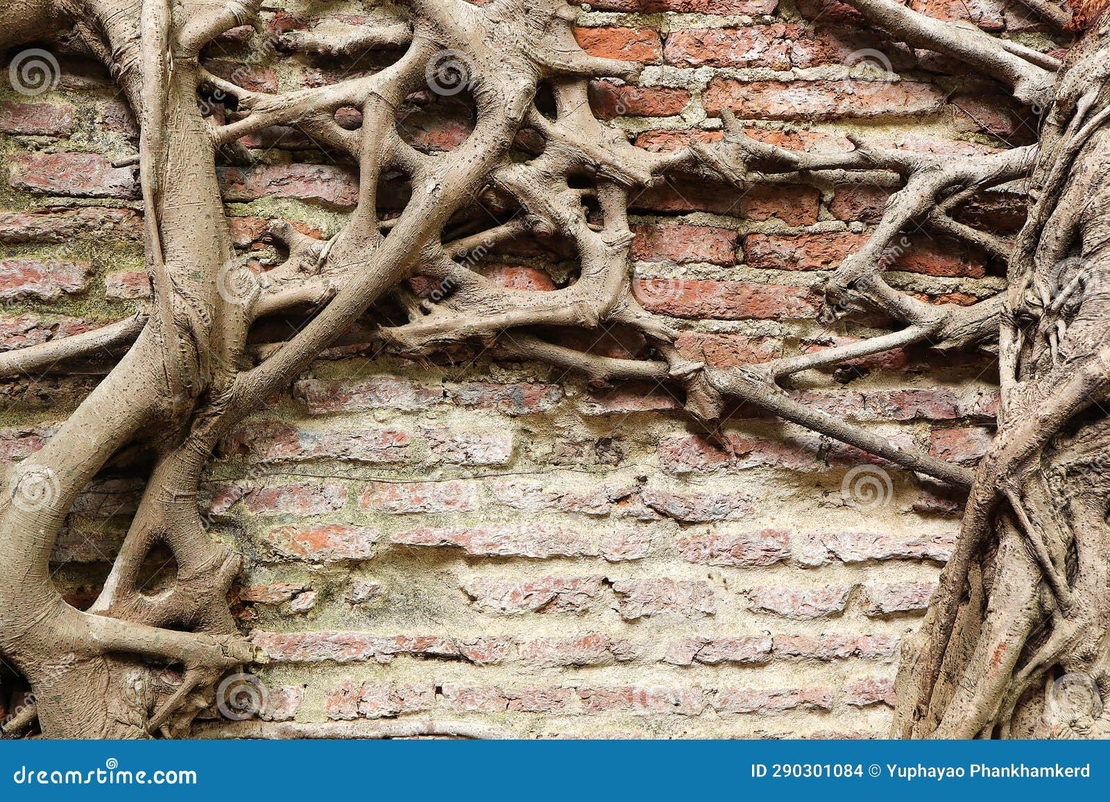 Tree Roots Tangle Around Each Other on Old Red Brick Wall.Trunk and Big ...