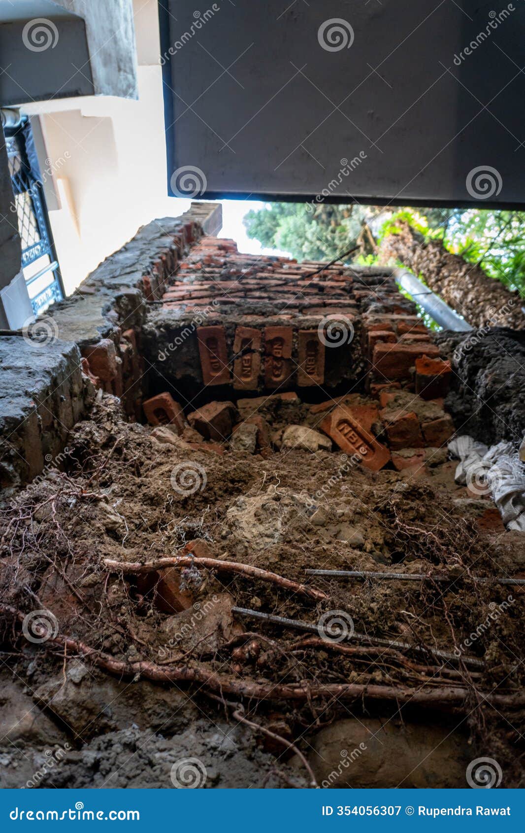 Tree Roots Under Soil: Visual of Nature and Environmental Impact Stock ...
