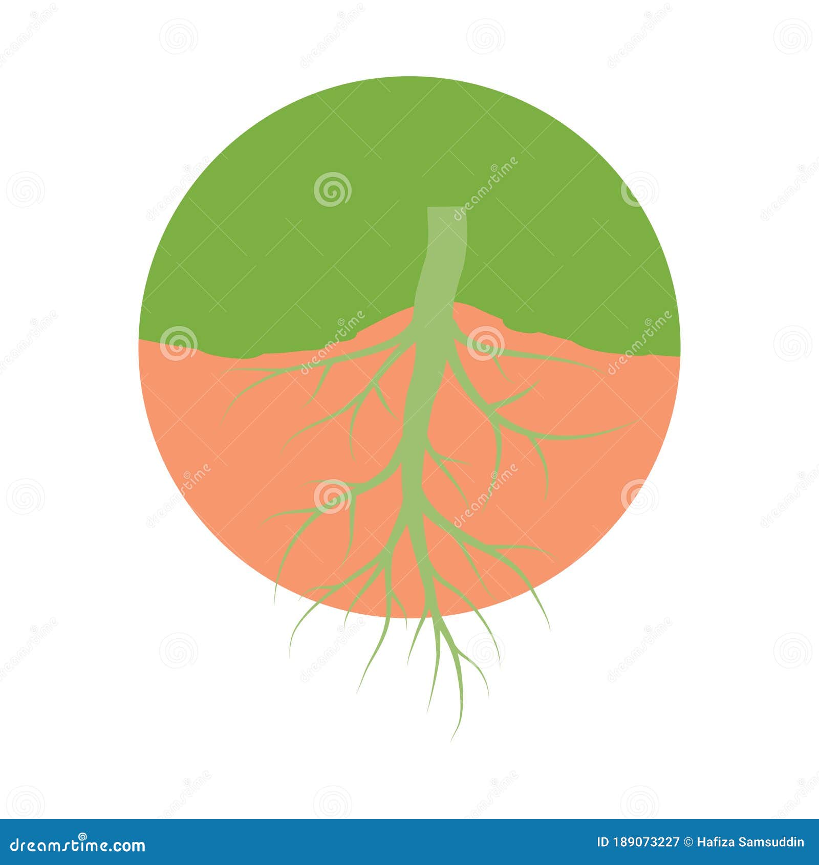 Tree Roots. Vector Illustration Decorative Design Stock Vector ...