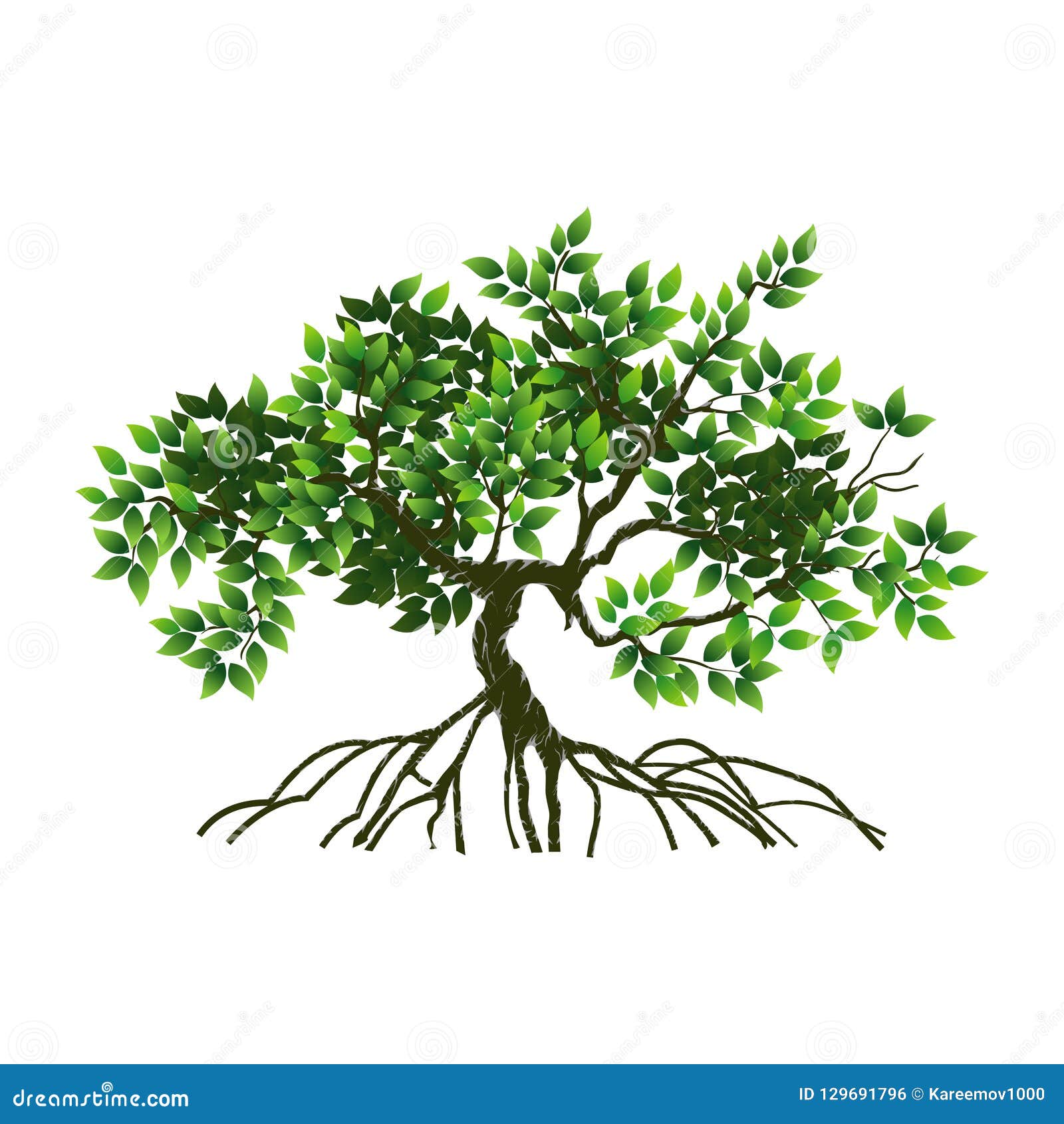 Mangrove Tree and Roots Vector Illustration Stock Illustration ... Mangrove Tree and Roots Vector Illustration Stock Illustration ...