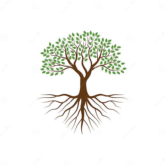 Tree with the Roots Vector Illustrations Stock Vector - Illustration of ...