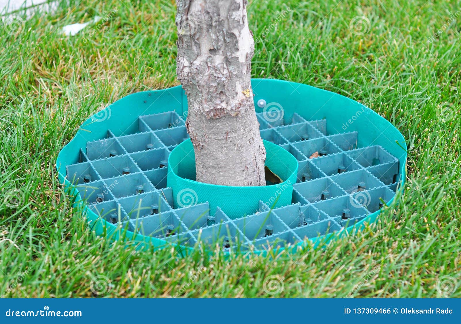 Tree Rubber Roud for Better Rain and Watering Drain Tree Roots Stock ...