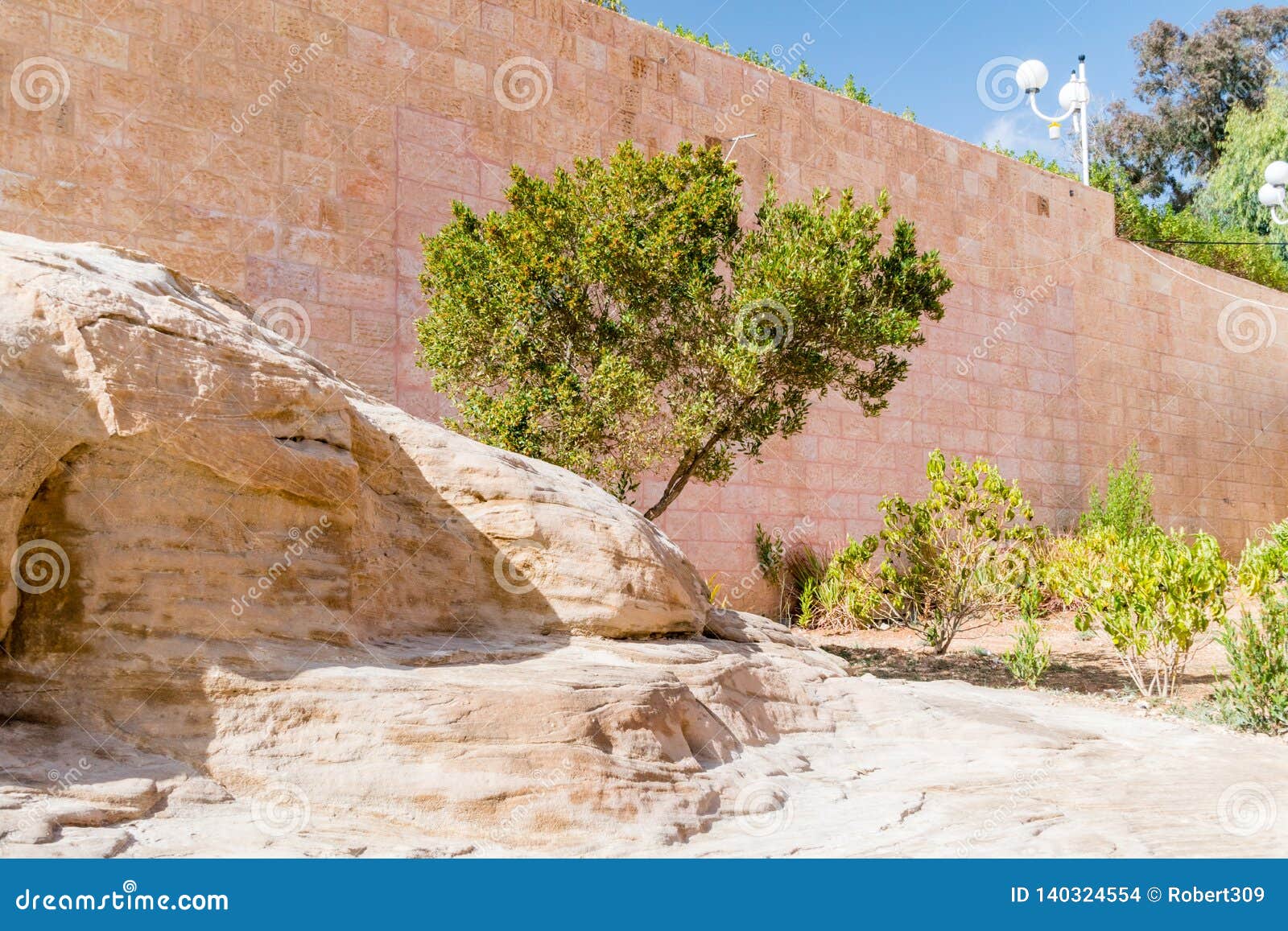 Tree at Ruins of the Ancient City of Petra in Jordan Stock Photo ...