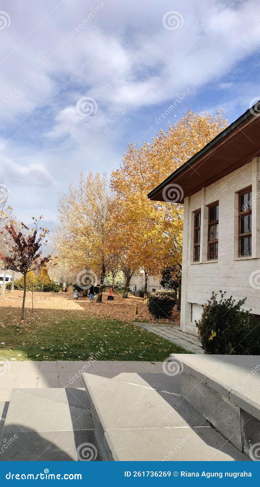 Tree S View when the Fall is Coming Stock Image - Image of view ...